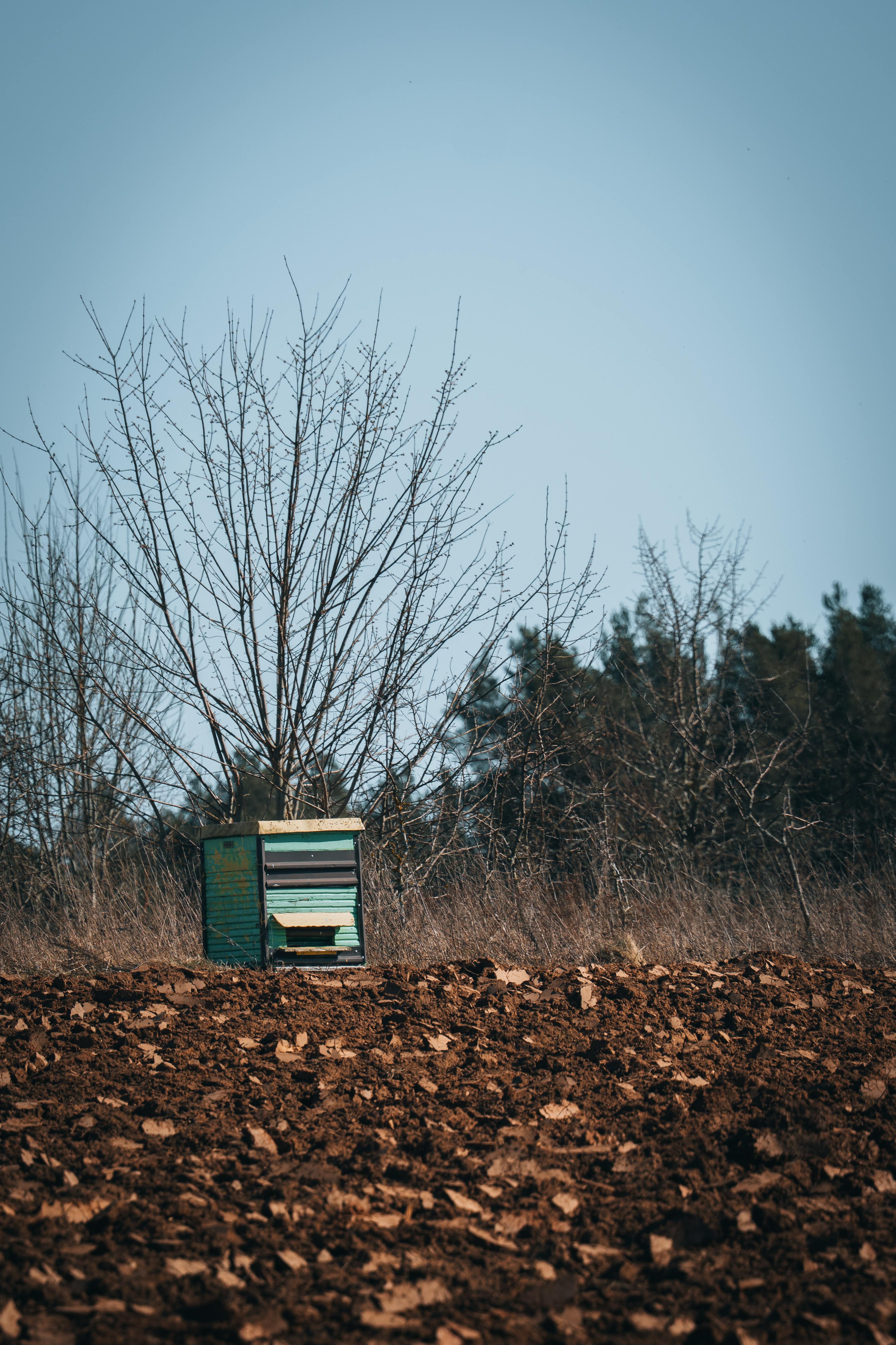 Isolated Beehive in A Rural Winter Landscape · Free Stock Photo