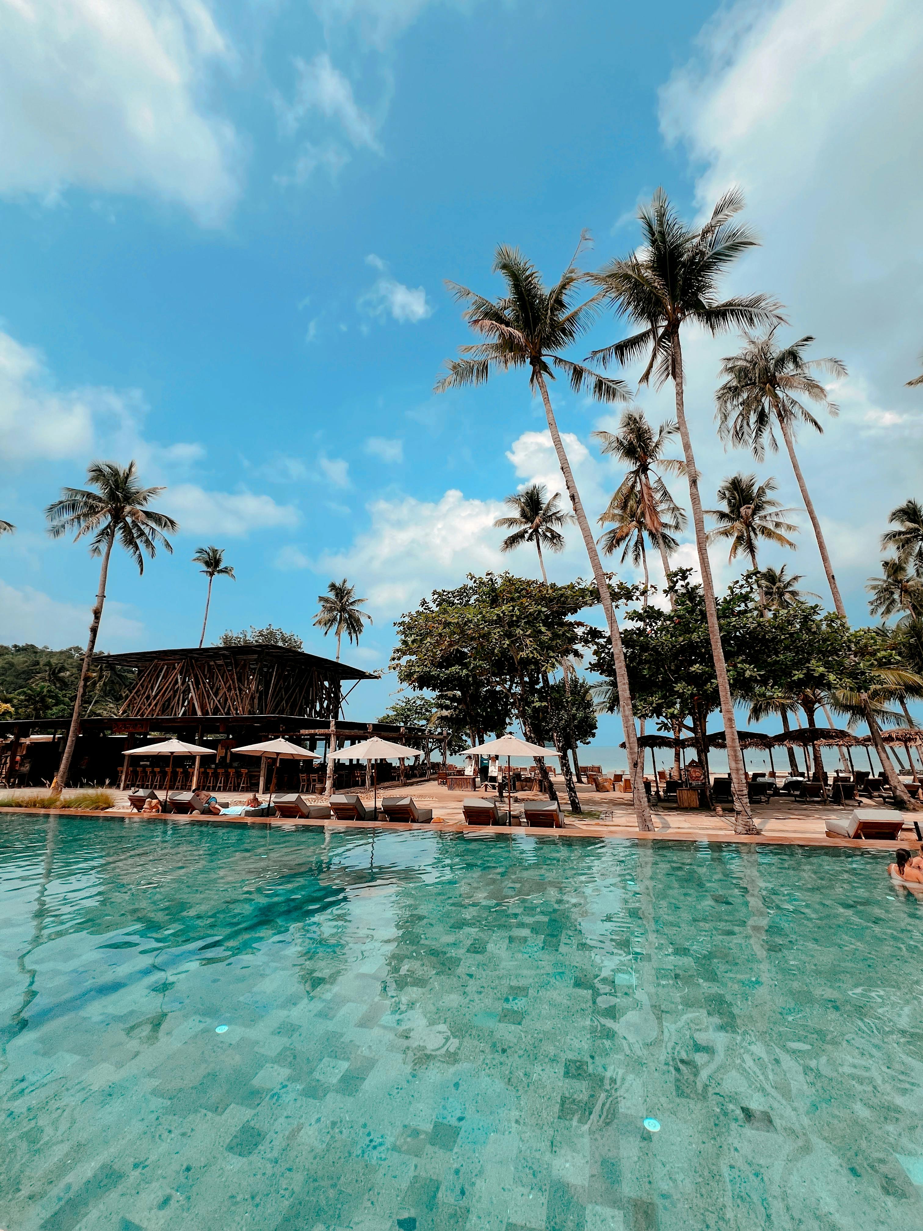 Tropical Paradise Poolside with Palm Trees · Free Stock Photo