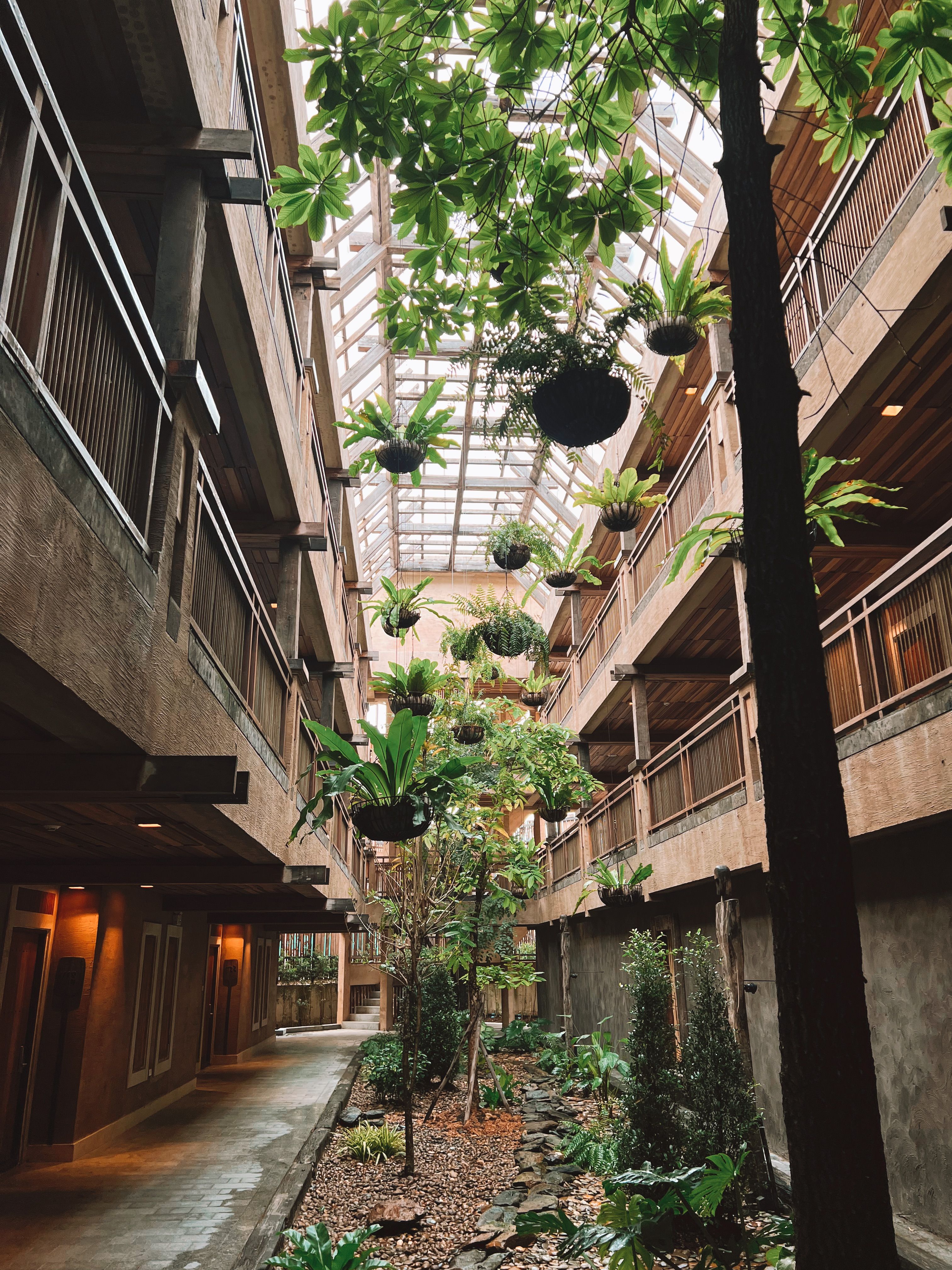 Lush Indoor Atrium with Hanging Plants and Skylight · Free Stock Photo