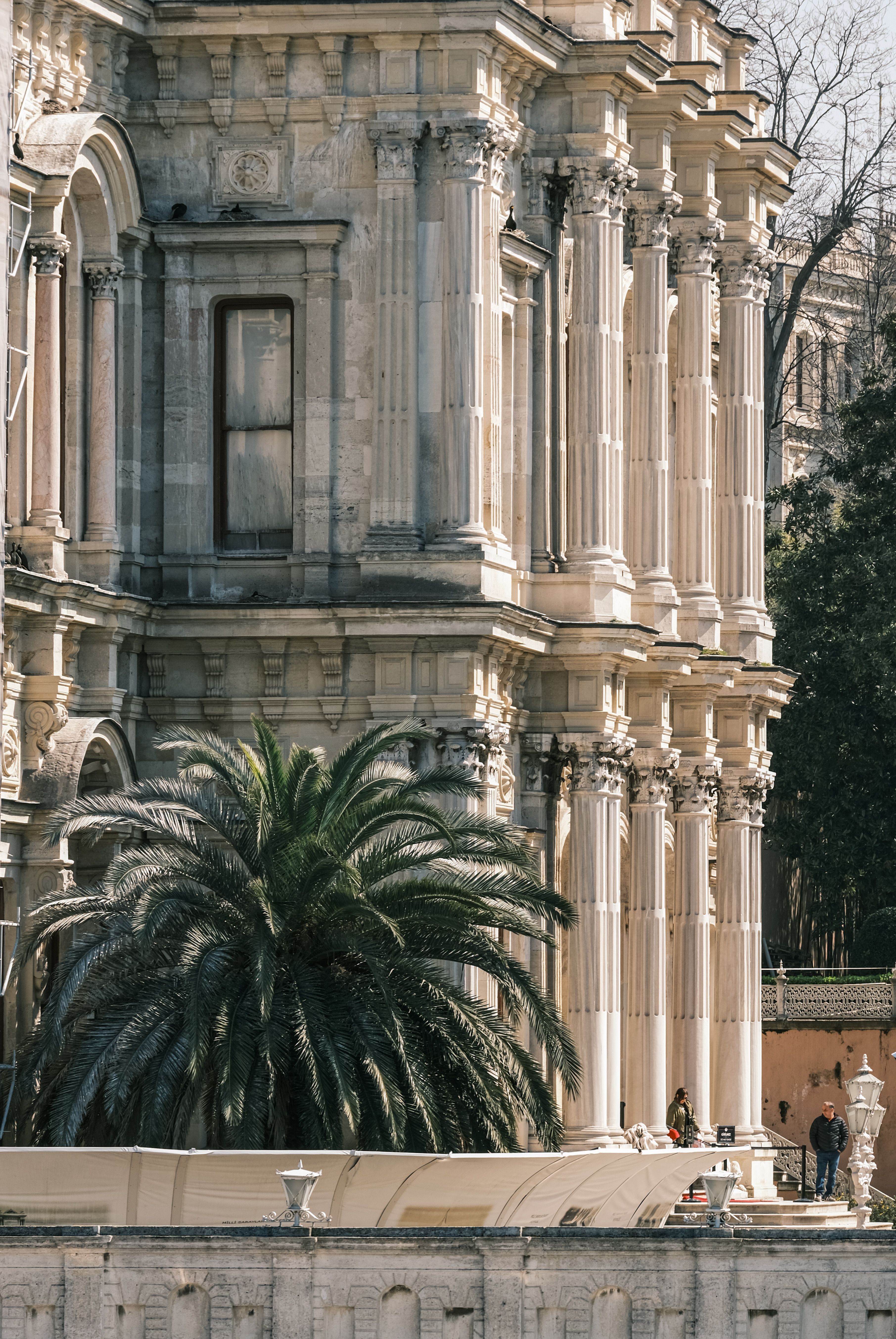 Historic Building with Palm Tree Architecture · Free Stock Photo