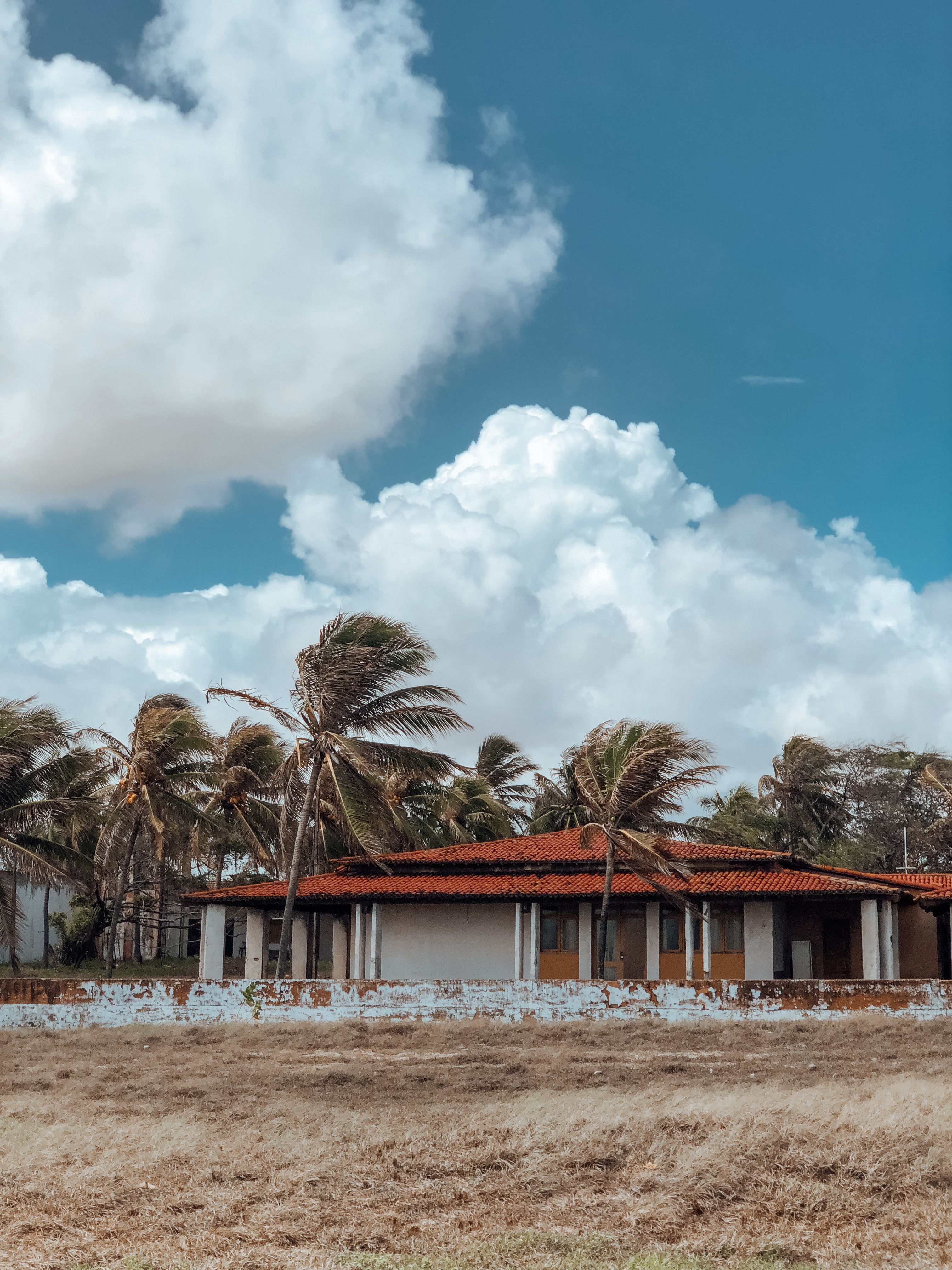 Rumah Tropis Dengan Atap Merah Dan Pohon Palem · Foto Stok Gratis