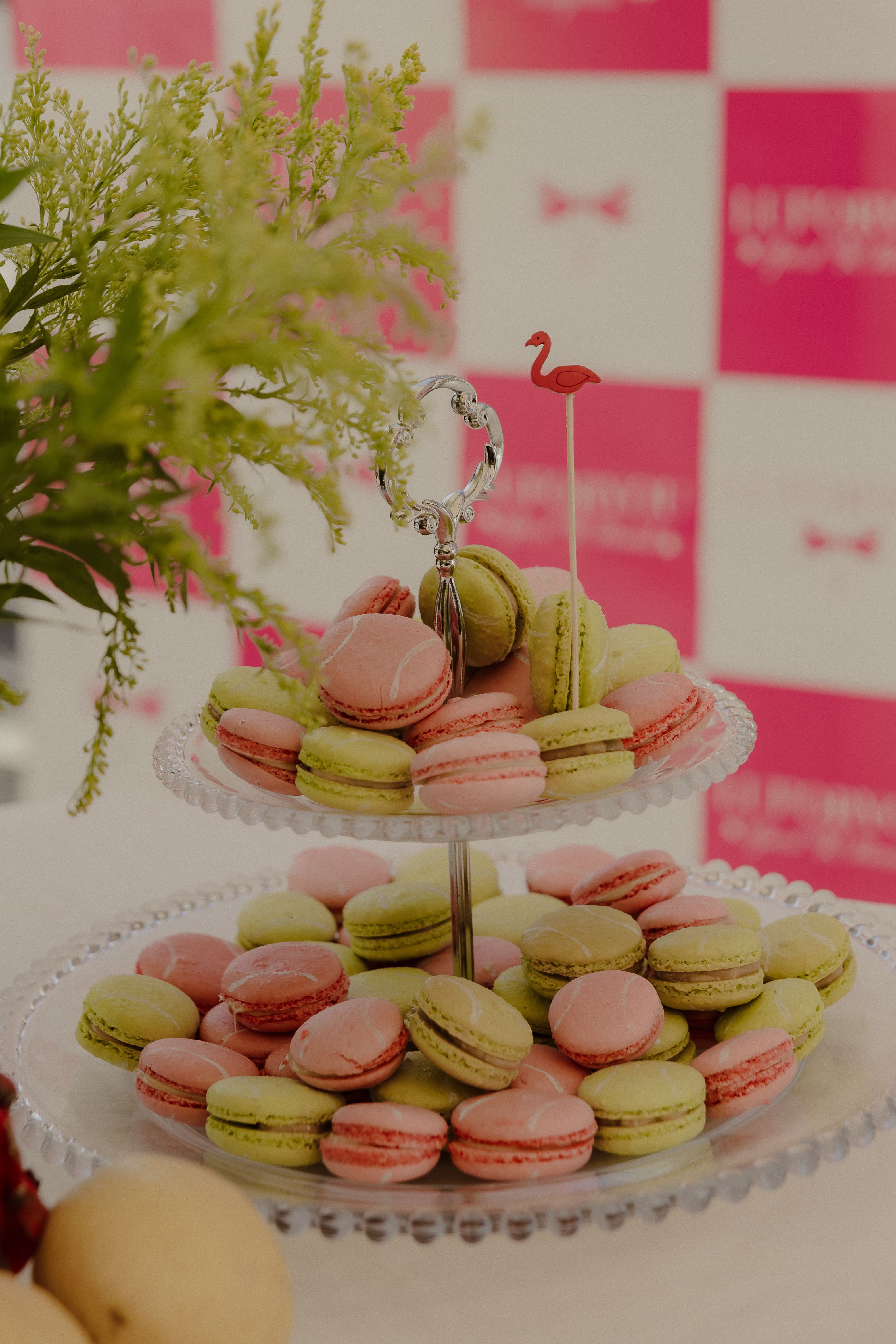 Colorful Macaron Display at Tropical Themed Event · Free Stock Photo