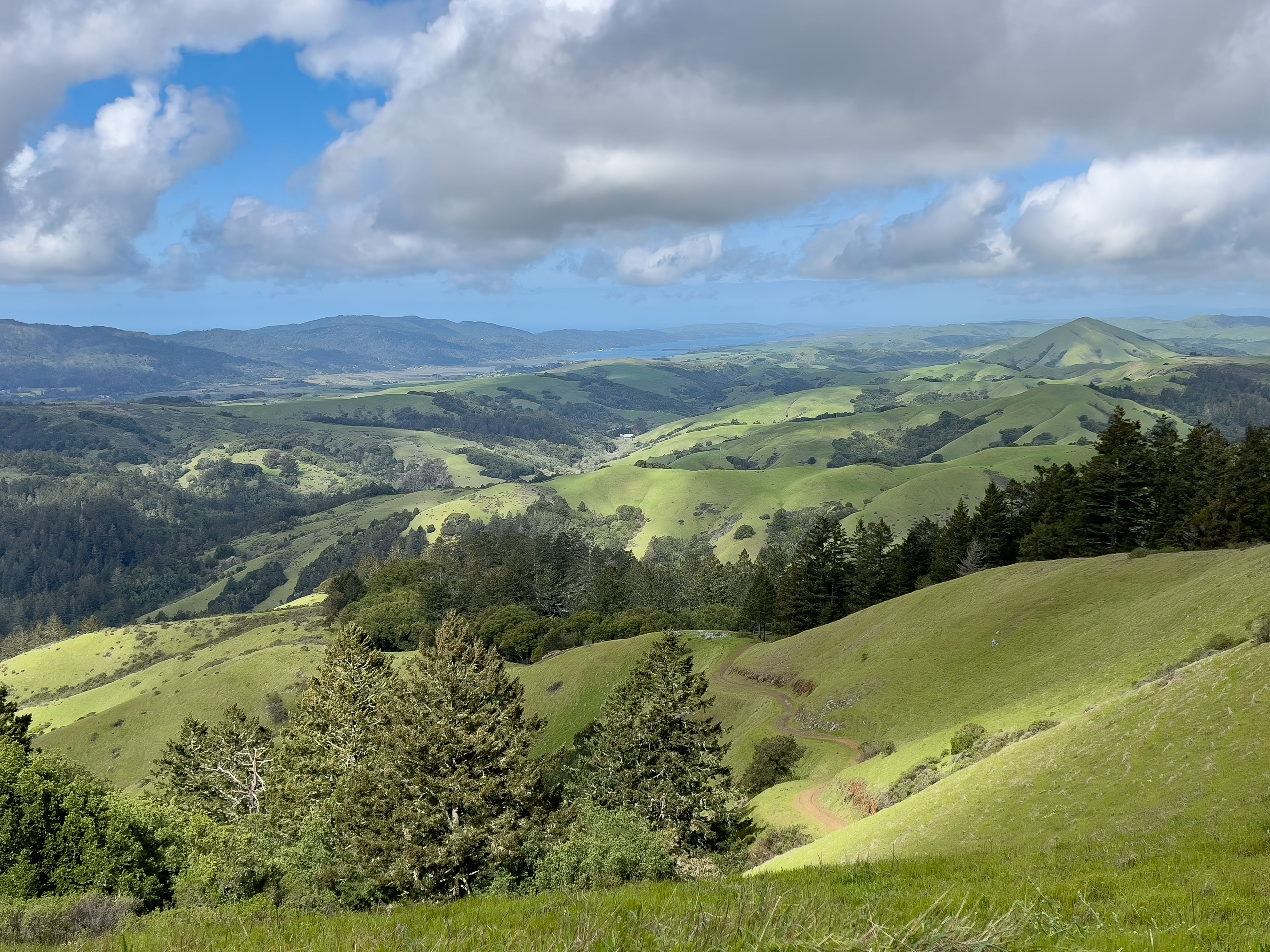 Scenic California Hills under Blue Sky · Free Stock Photo