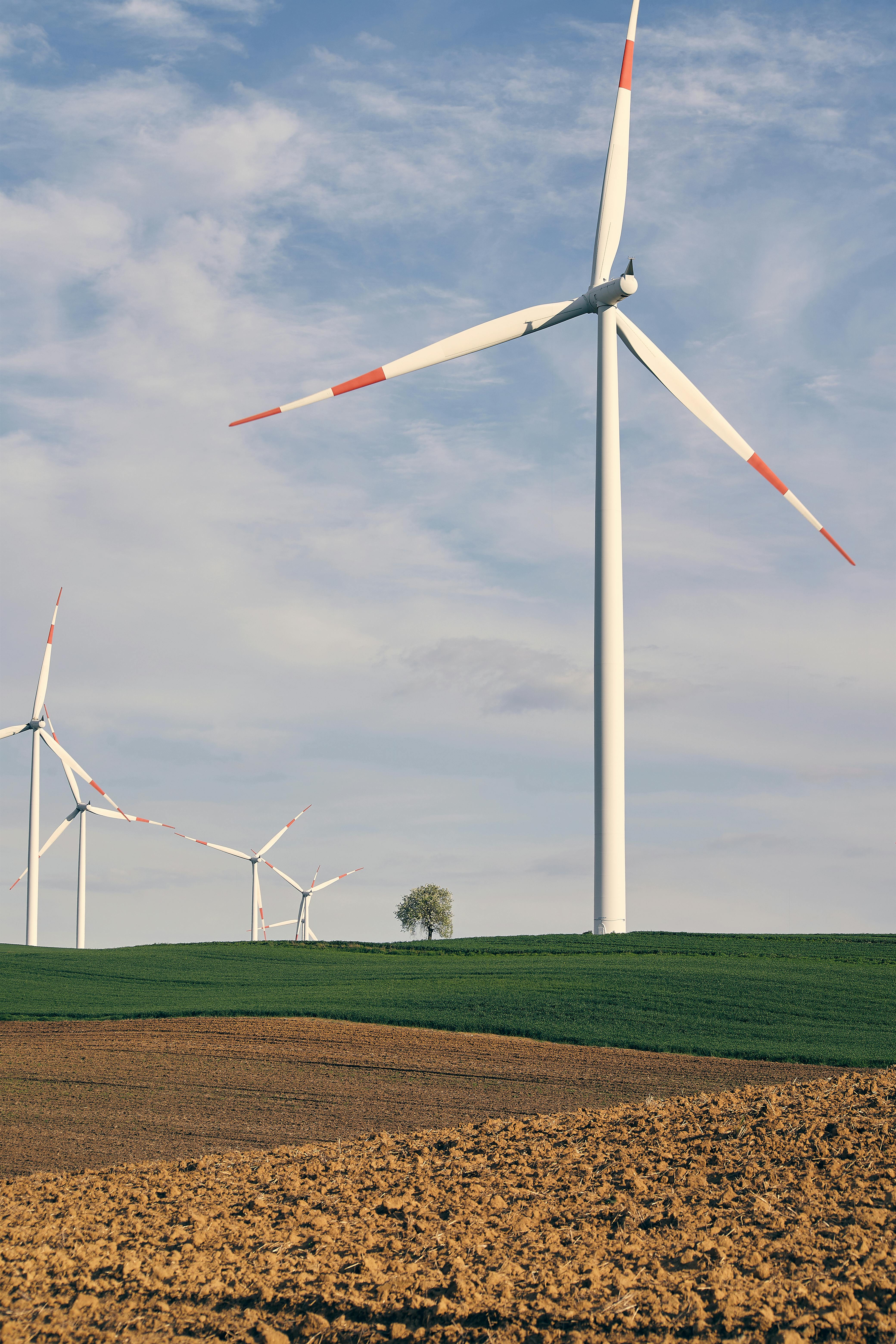 Wind Turbines on Green Landscape with Clear Sky · Free Stock Photo