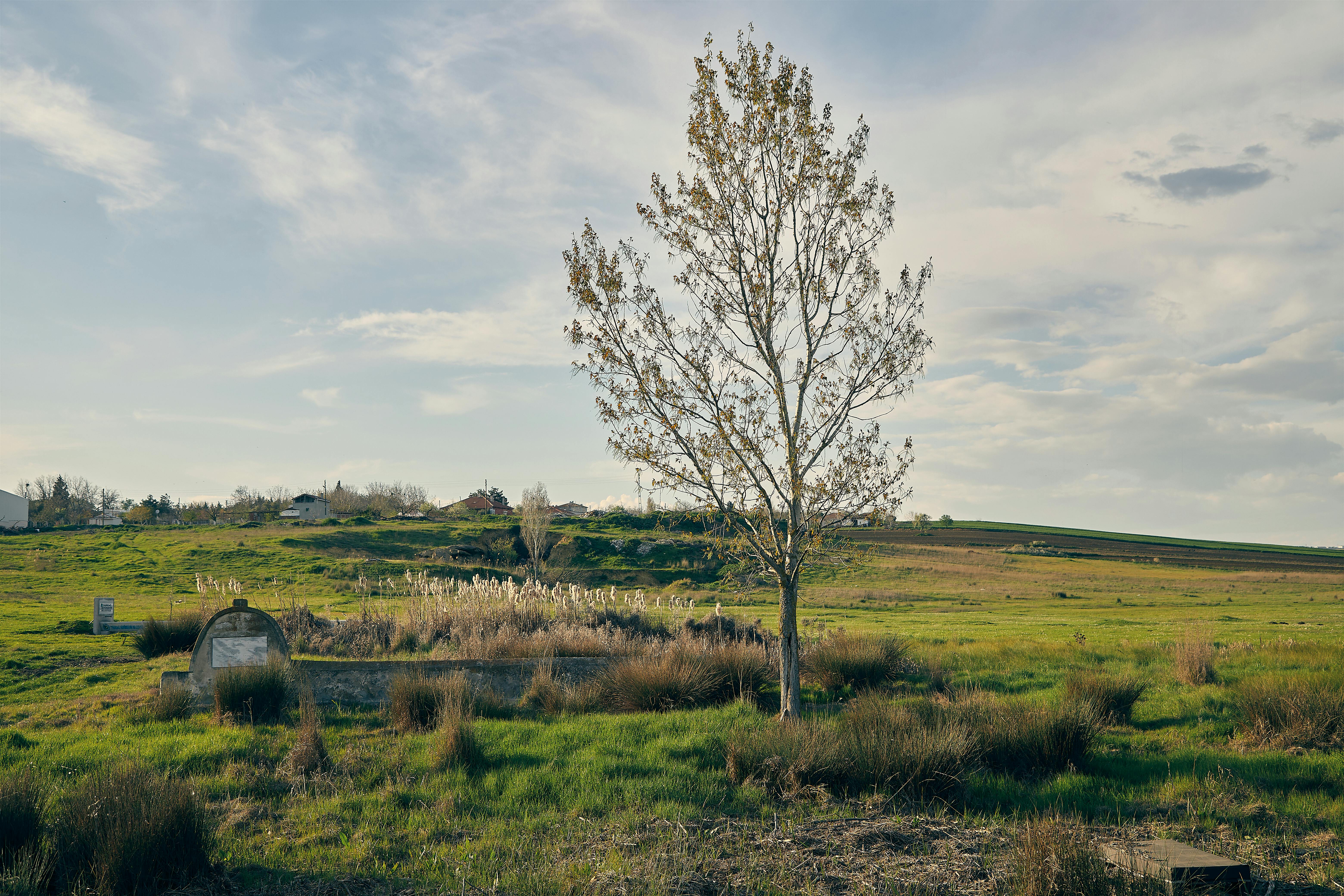 Tranquil Landscape with Trees and Pond in Turkey · Free Stock Photo
