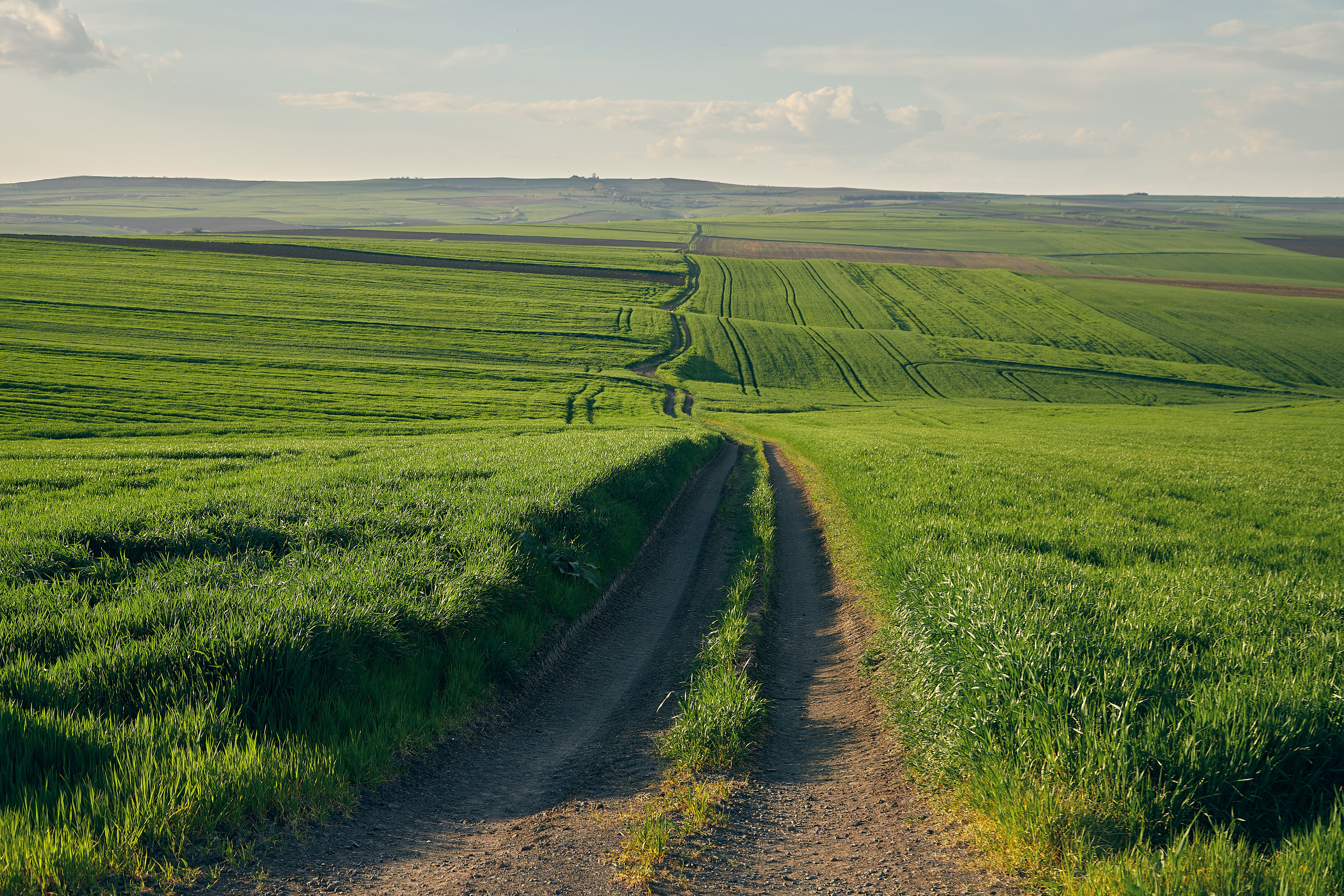 Serene Green Countryside Landscape in Spring · Free Stock Photo
