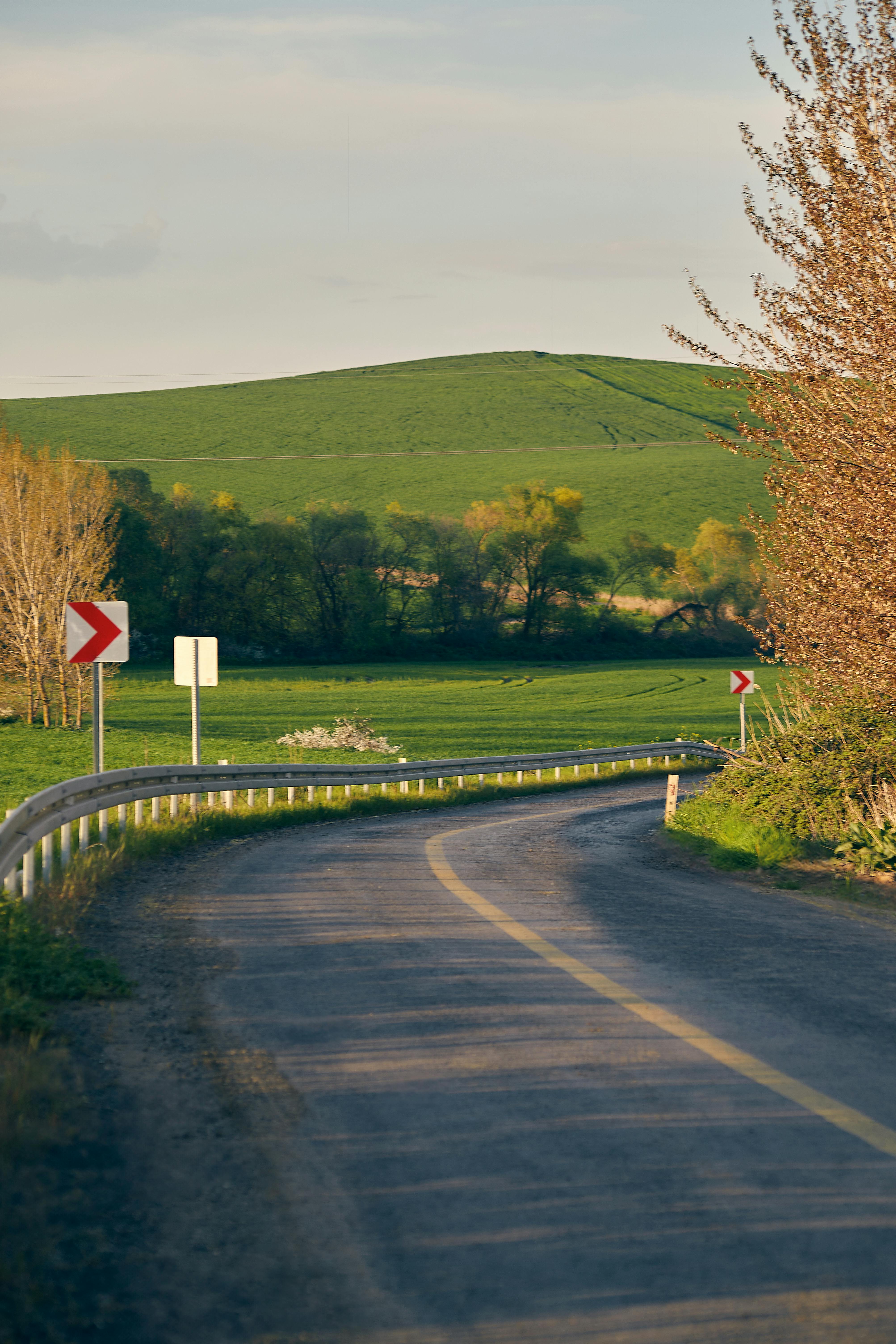 Winding Country Road Through Verdant Countryside · Free Stock Photo