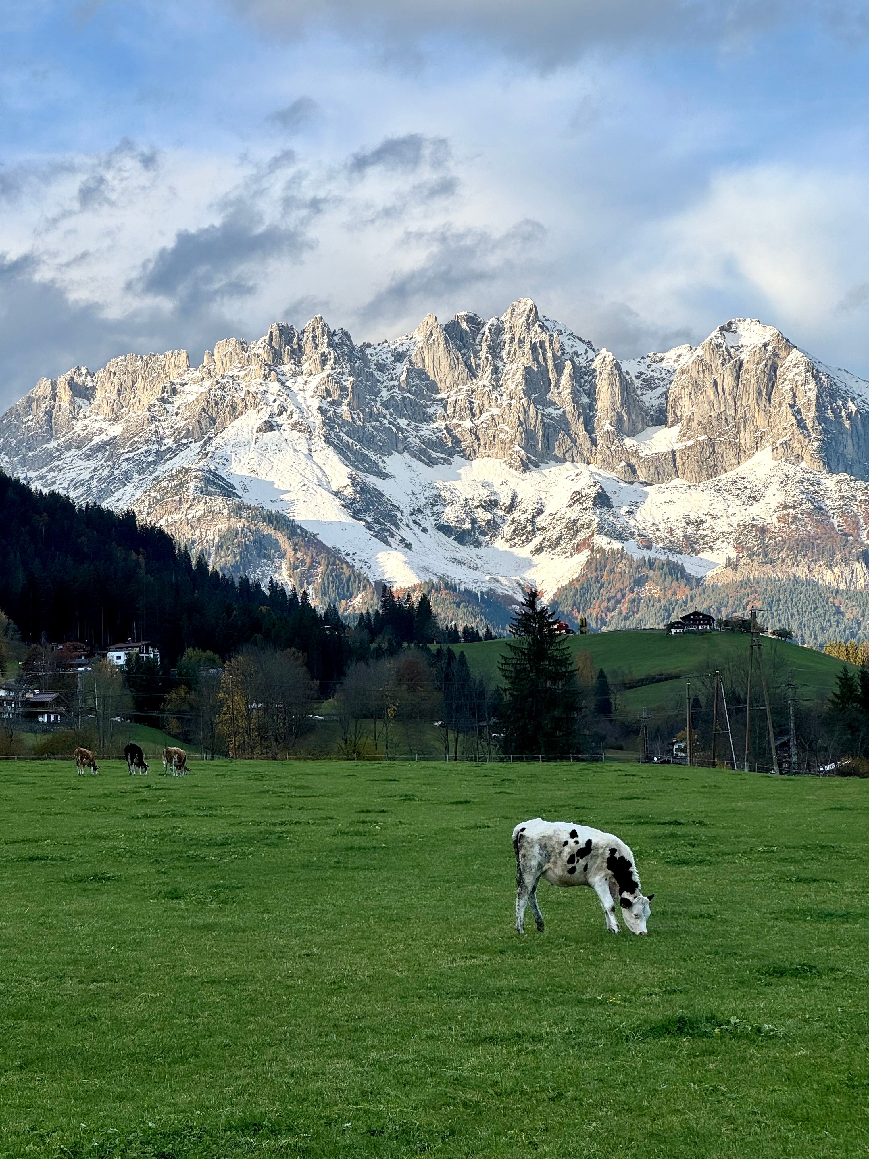 Serene Alpine Pasture with Snow-Capped Mountains · Free Stock Photo