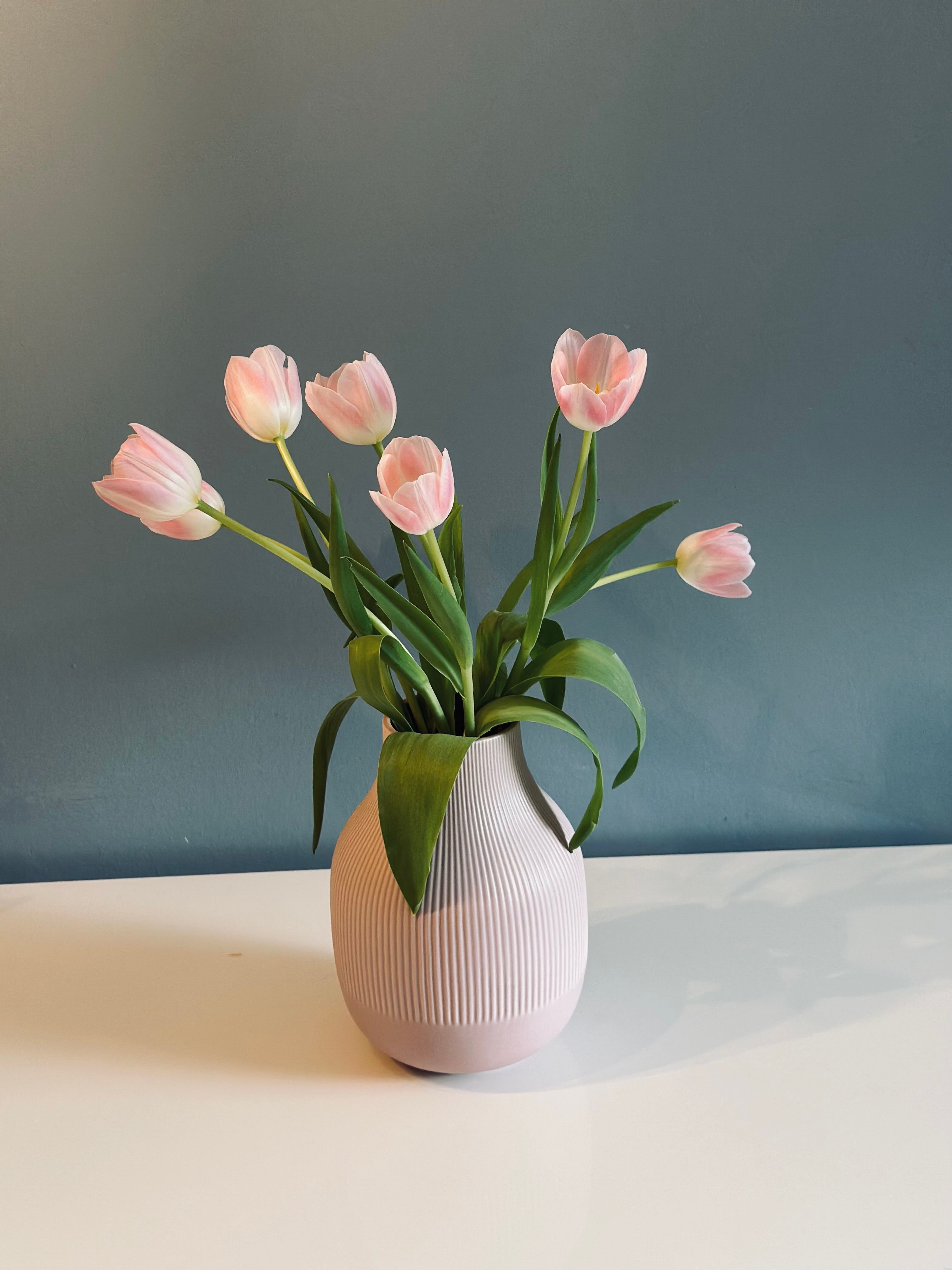 Elegant Vase of Soft Pink Tulips on Table · Free Stock Photo