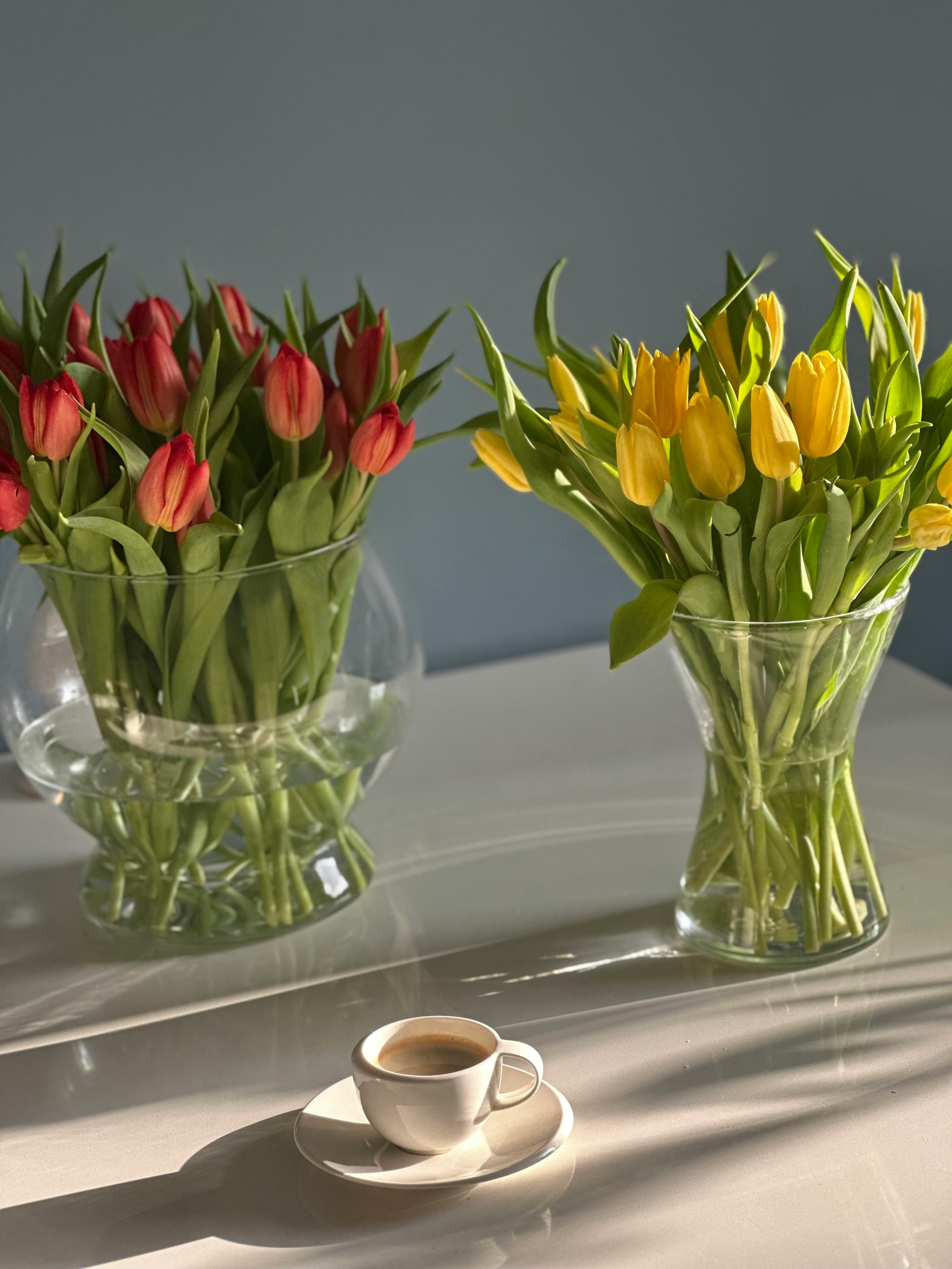 Tulips in Vases with Cup of Coffee on Table · Free Stock Photo