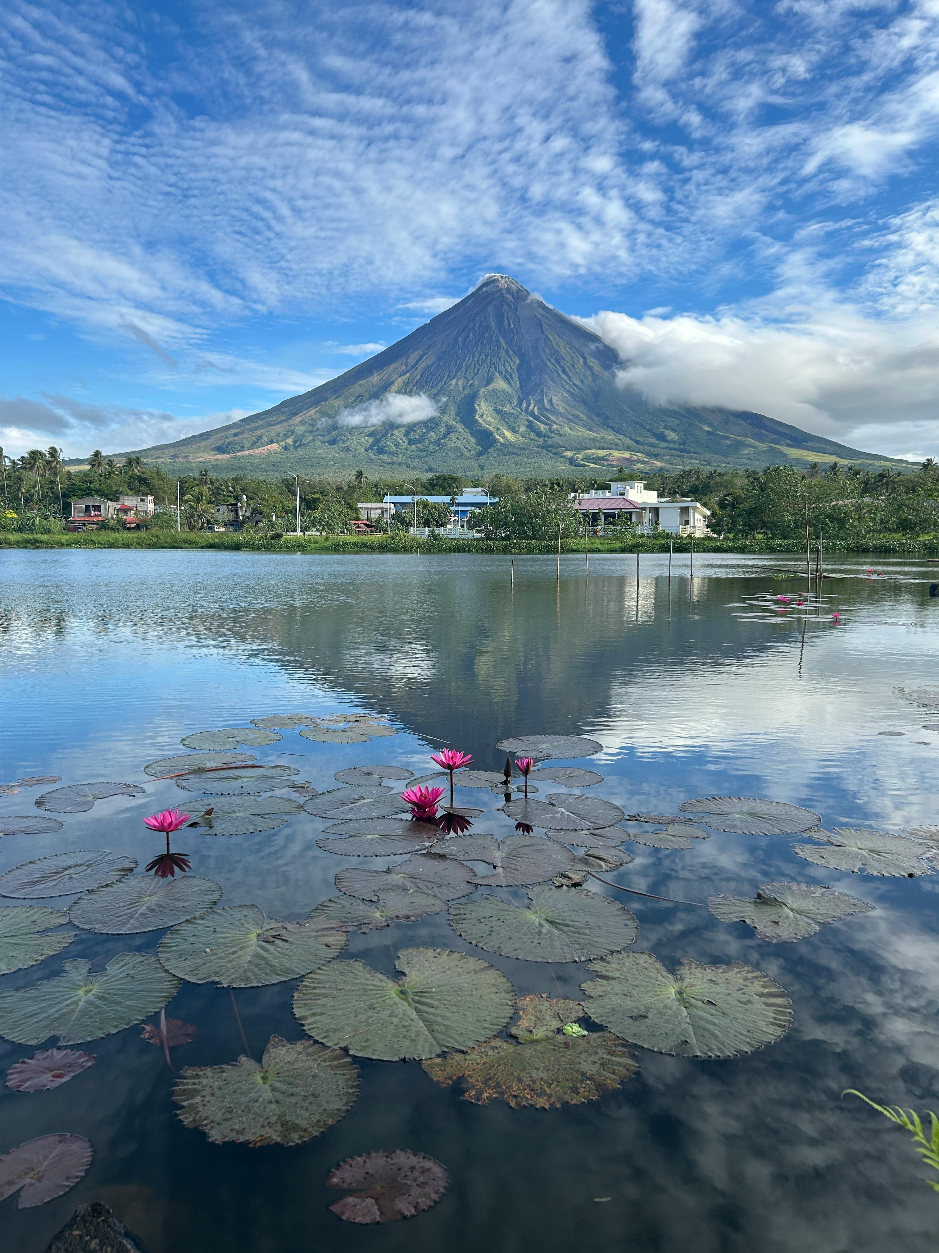 Landscape Photography of Open Field With Tree With Mayon Volcano ...