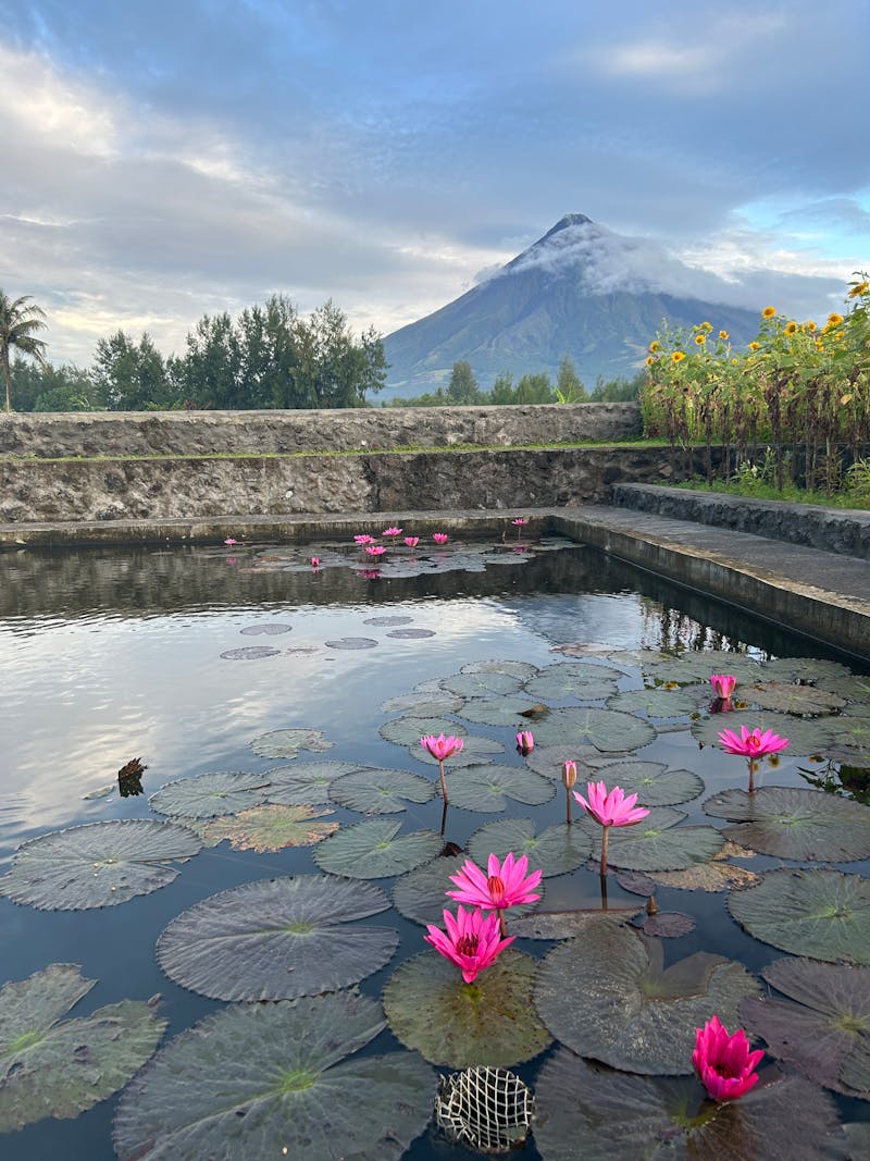 Mayon Volcano Photos, Download The BEST Free Mayon Volcano Stock Photos ...