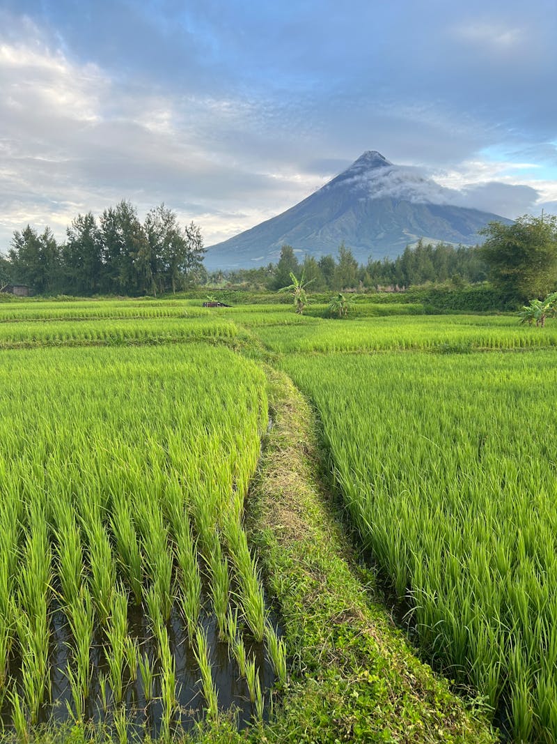 Mayon Volcano Photos, Download The BEST Free Mayon Volcano Stock Photos ...