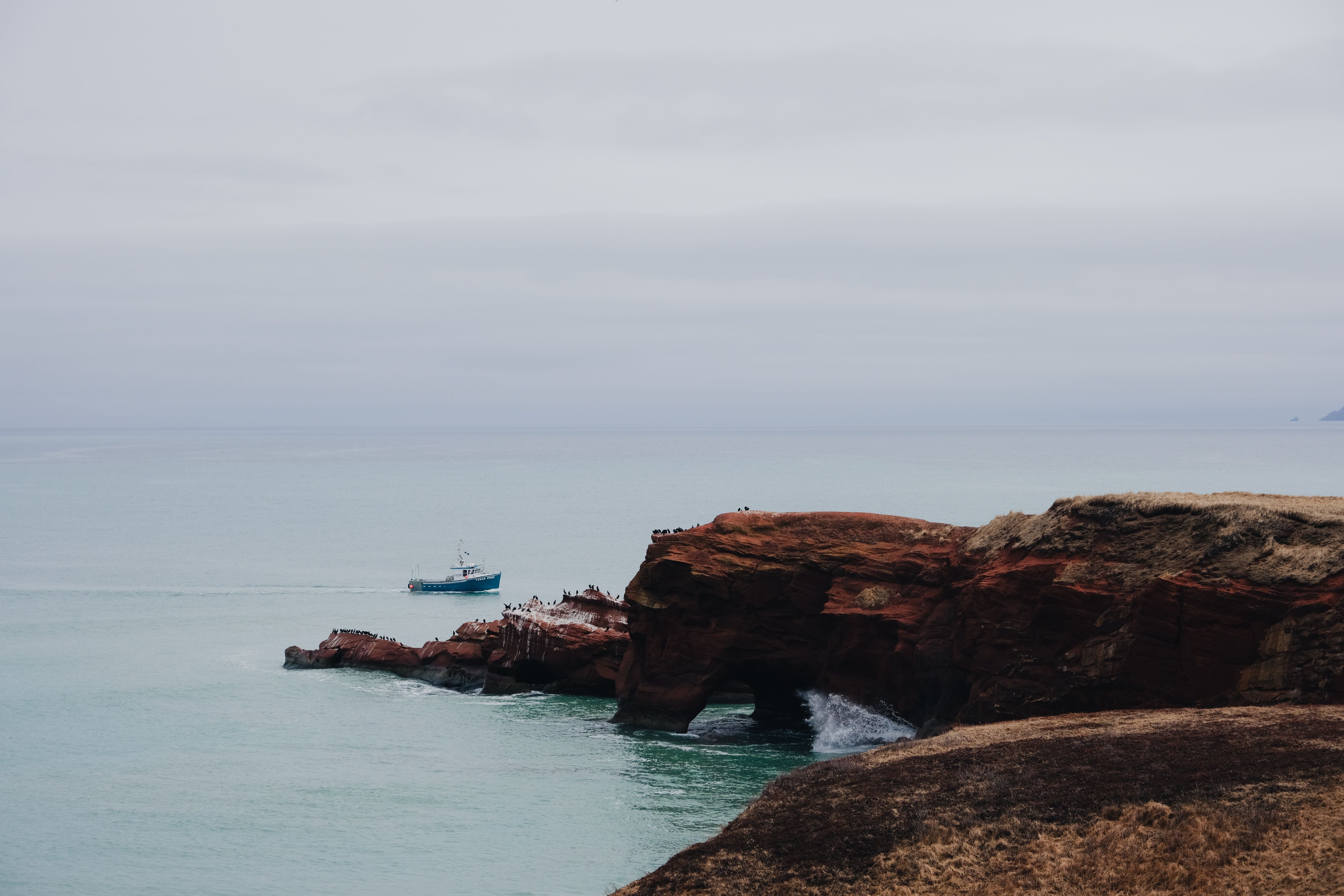 Cliff Ecosystem Photos, Download The BEST Free Cliff Ecosystem Stock ...