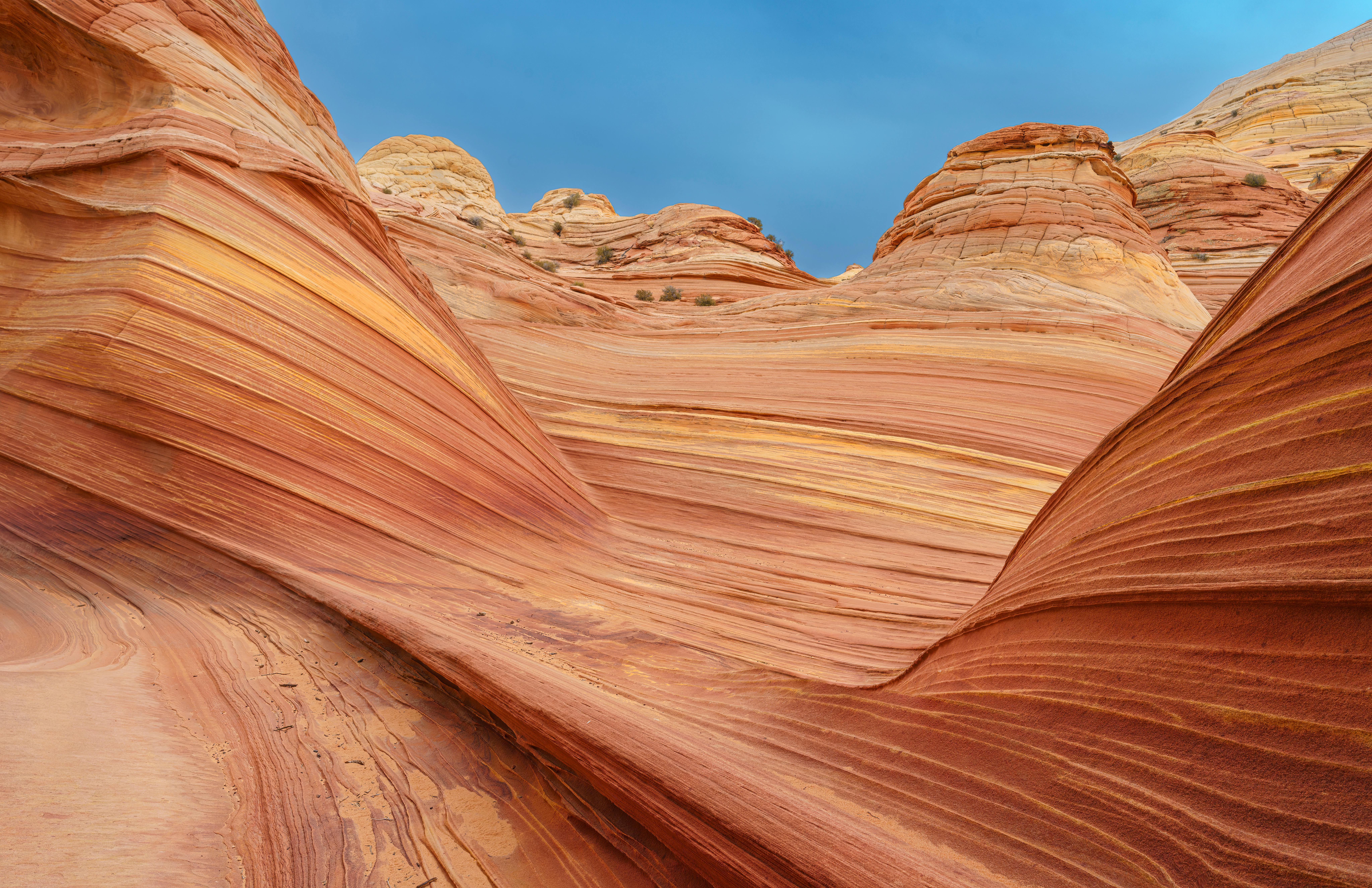 Natural Layers Photos, Download The BEST Free Natural Layers Stock ...