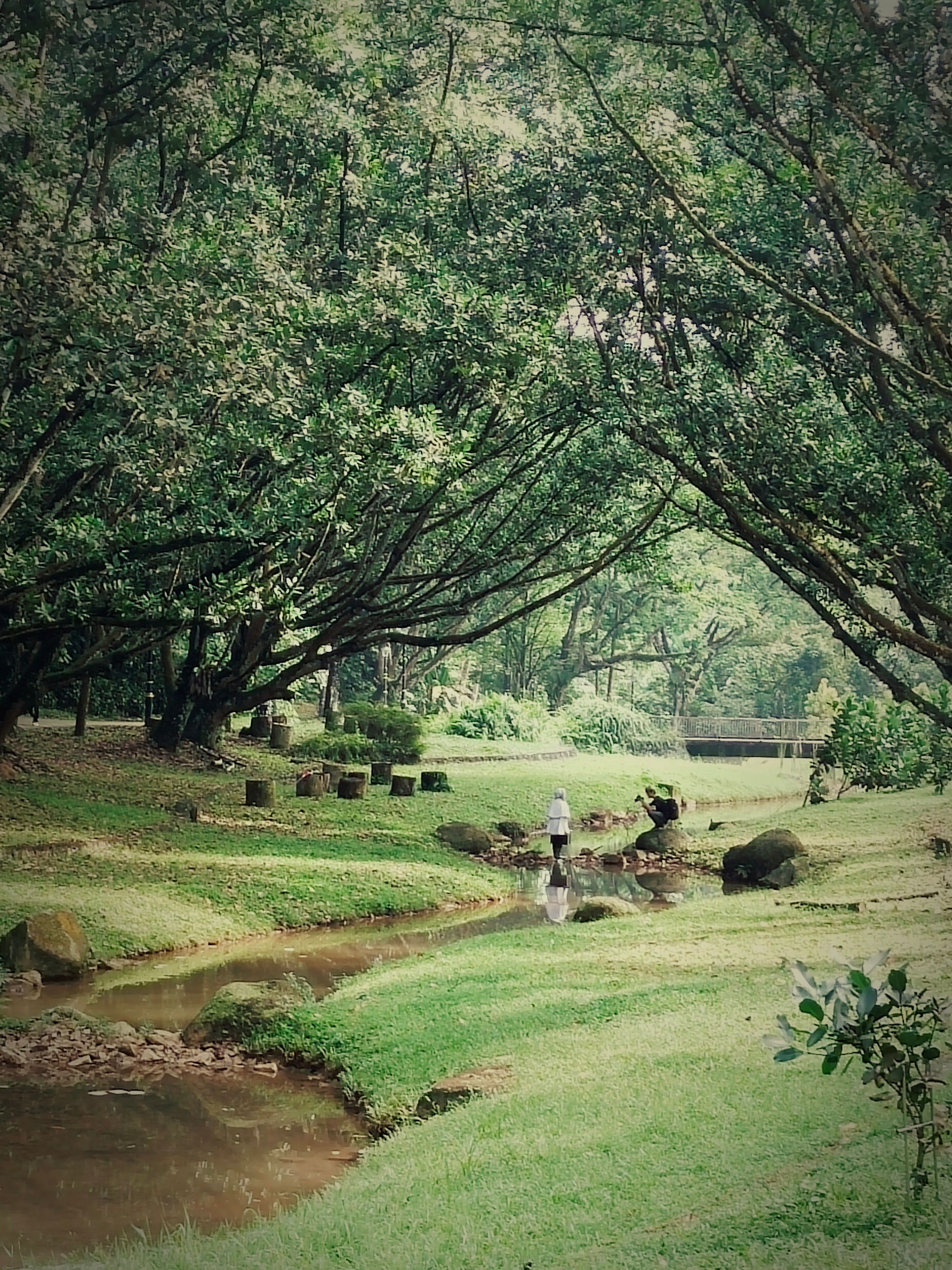 Peaceful Park Scene in Kuala Lumpur · Free Stock Photo