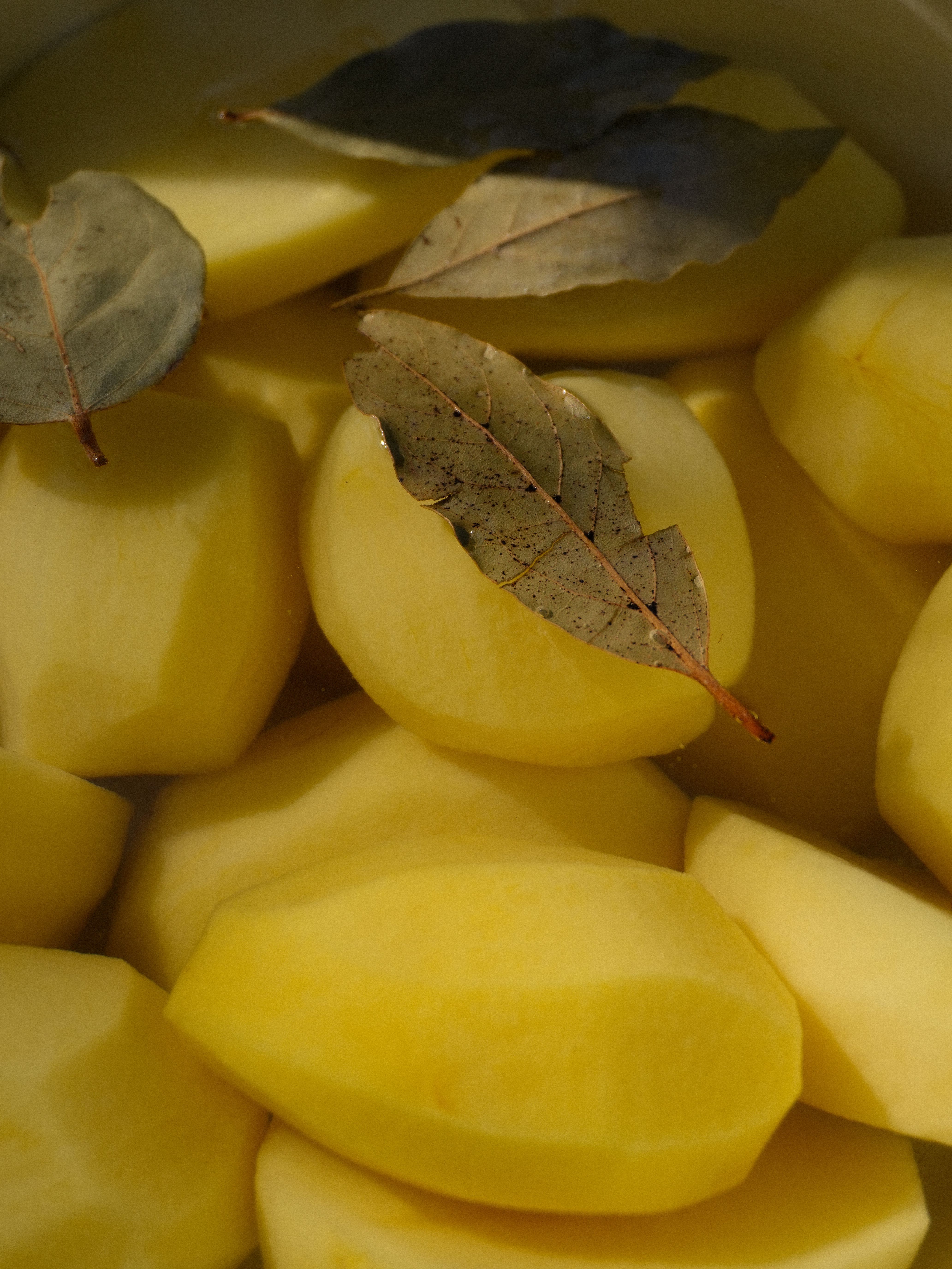 Fresh Peeled Potatoes with Bay Leaves · Free Stock Photo
