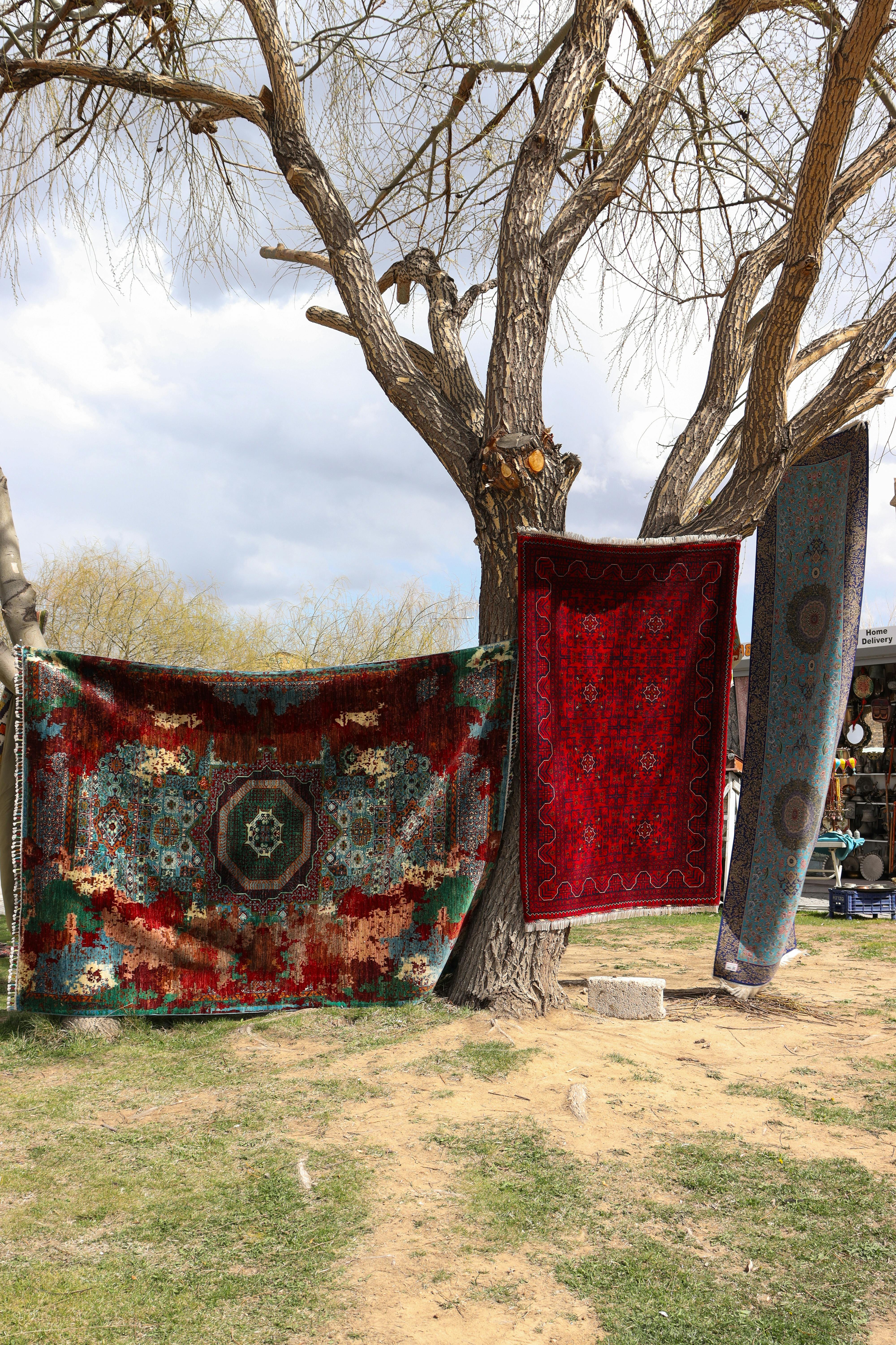 Federazione Rugs Photos, Download The BEST Free Federazione Rugs Stock ...