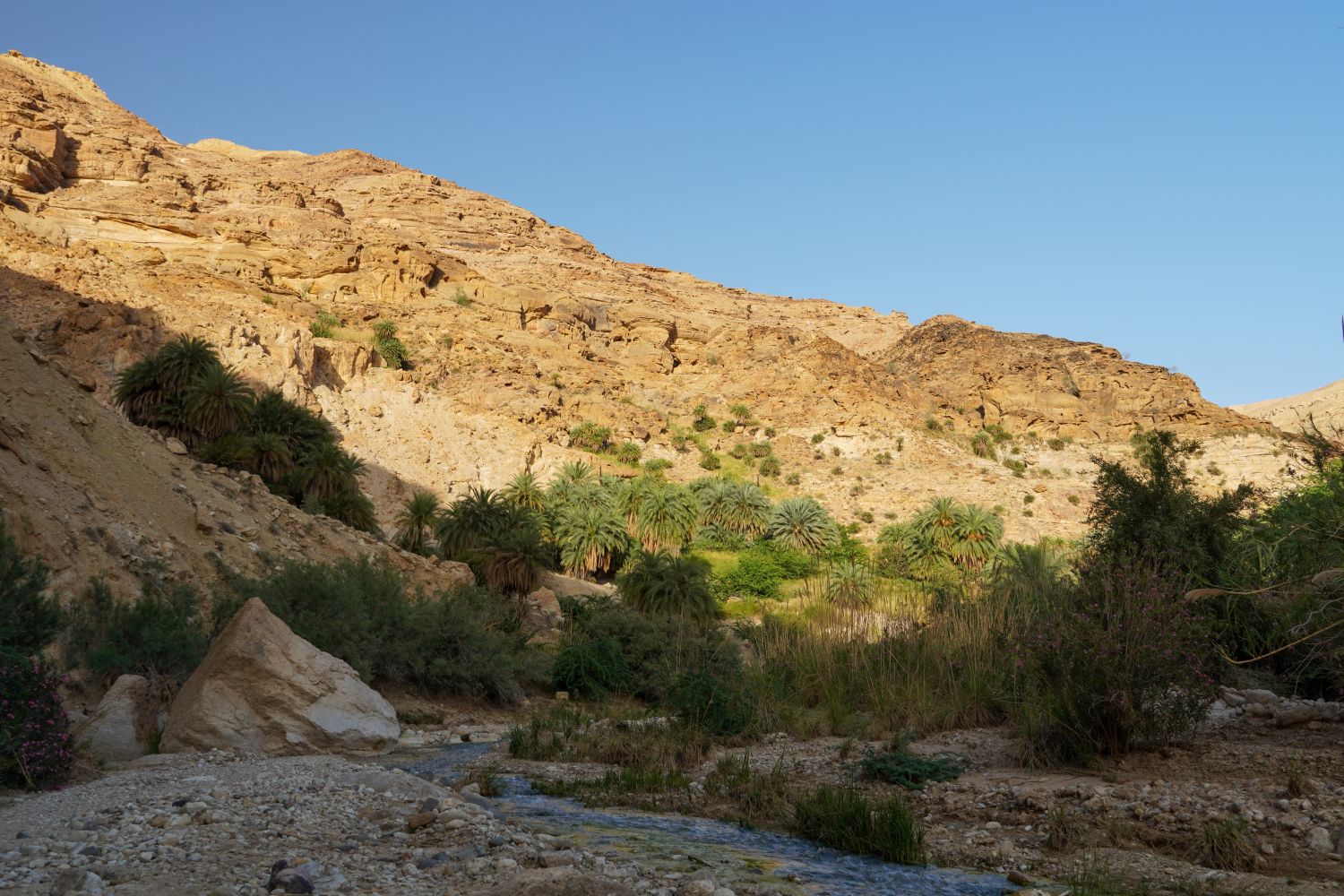 Wadi Landscape Photos, Download The BEST Free Wadi Landscape Stock ...
