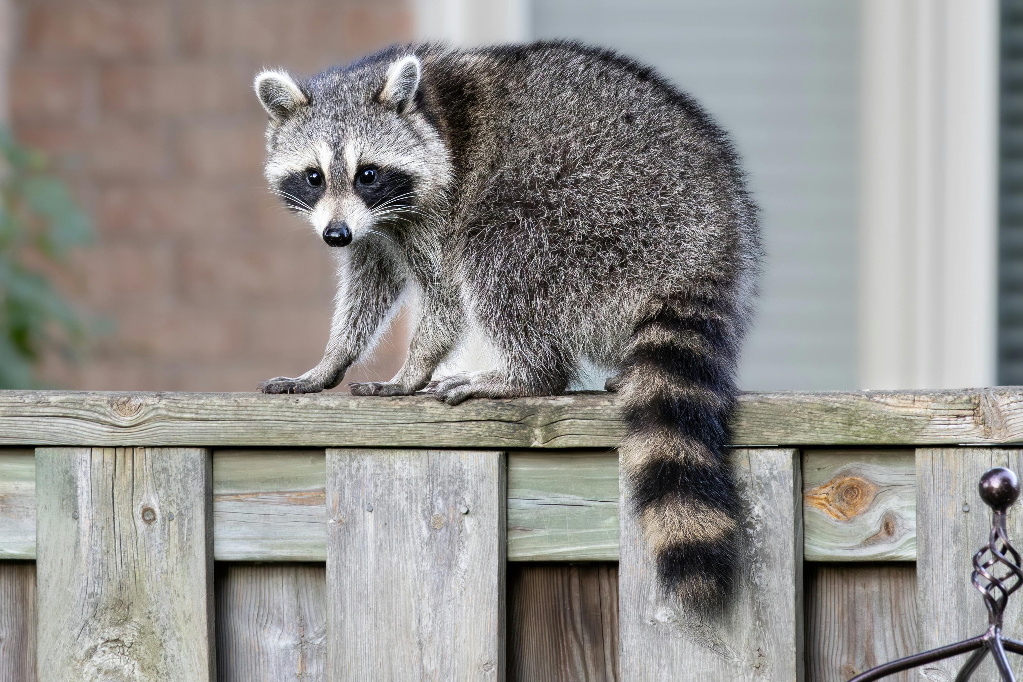 En İyi 1.000.000+ Doğa Manzaraları Fotoğrafı · Tamamen Ücretsiz İndirin ...