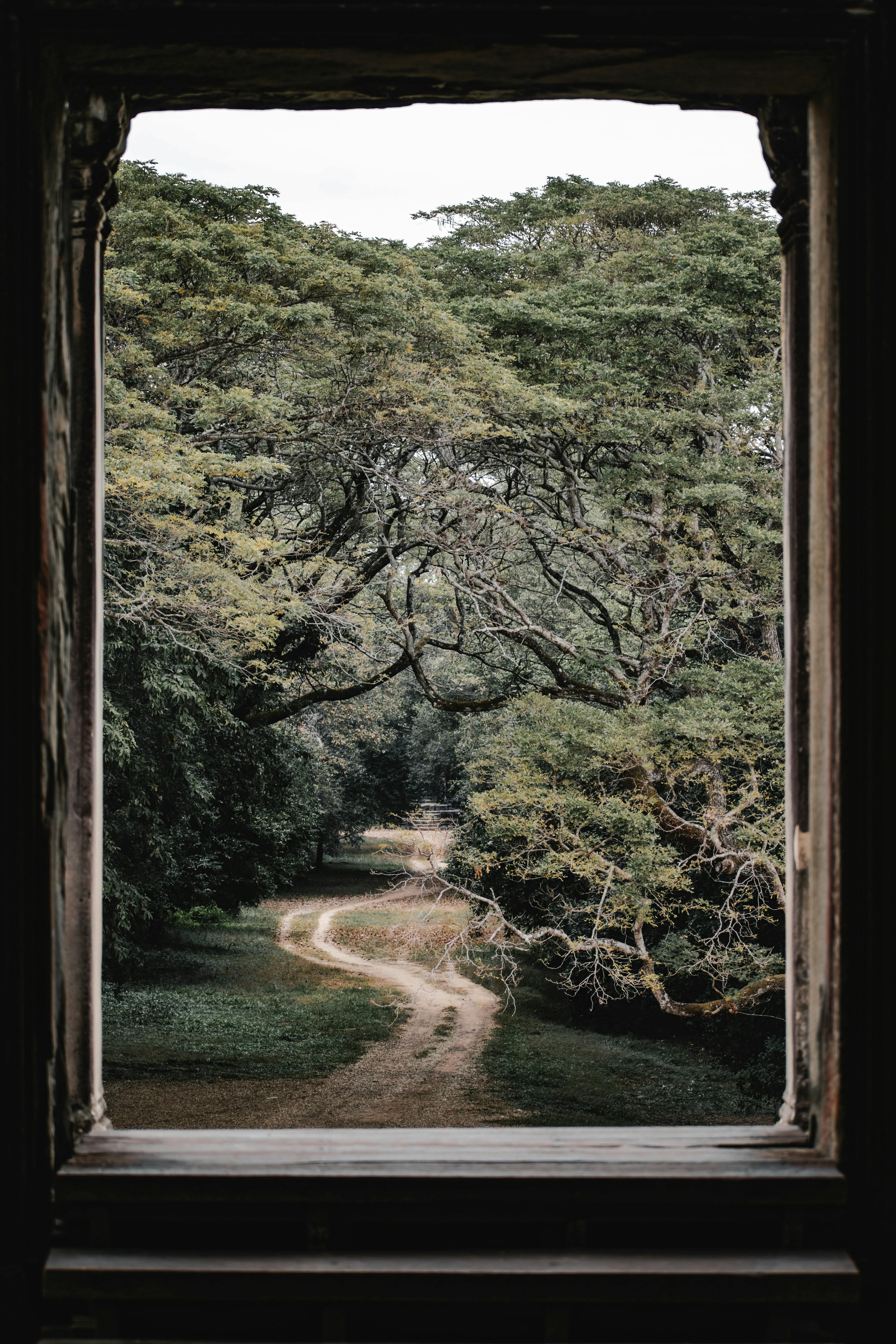Scenic Forest Path View from Ancient Window · Free Stock Photo