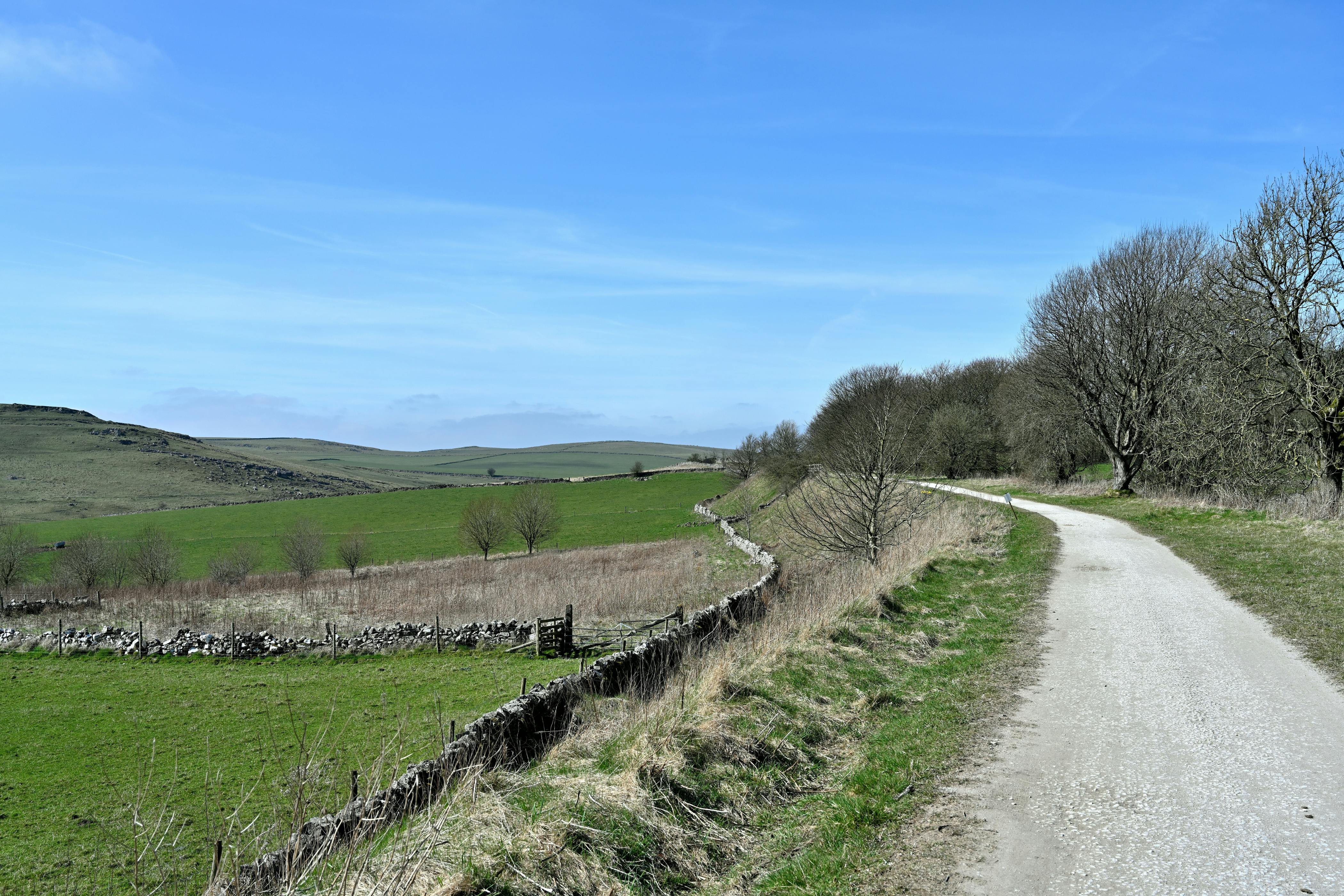 Scenic Countryside Pathway in Spring · Free Stock Photo