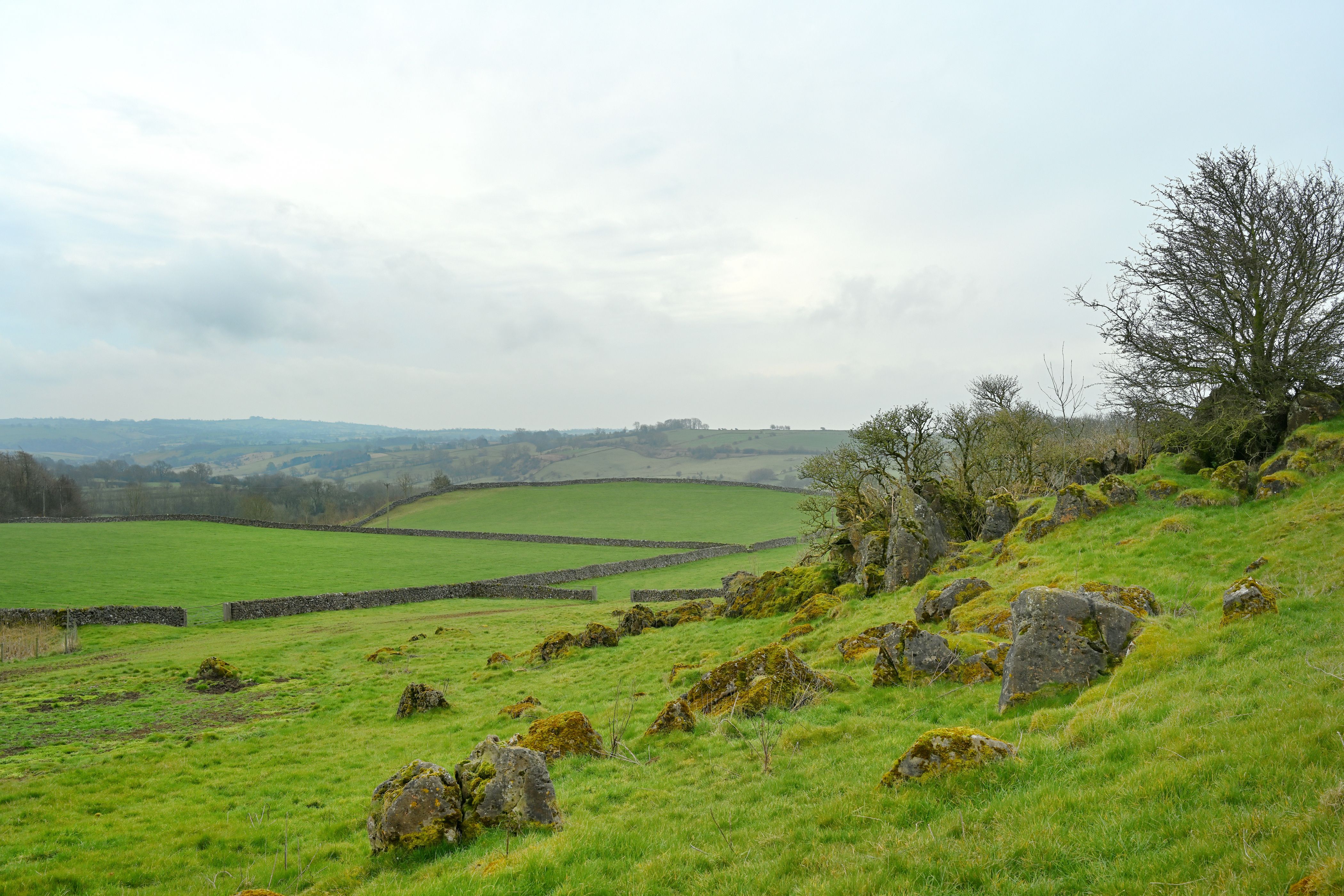 Tranquil Countryside Landscape with Rolling Hills · Free Stock Photo