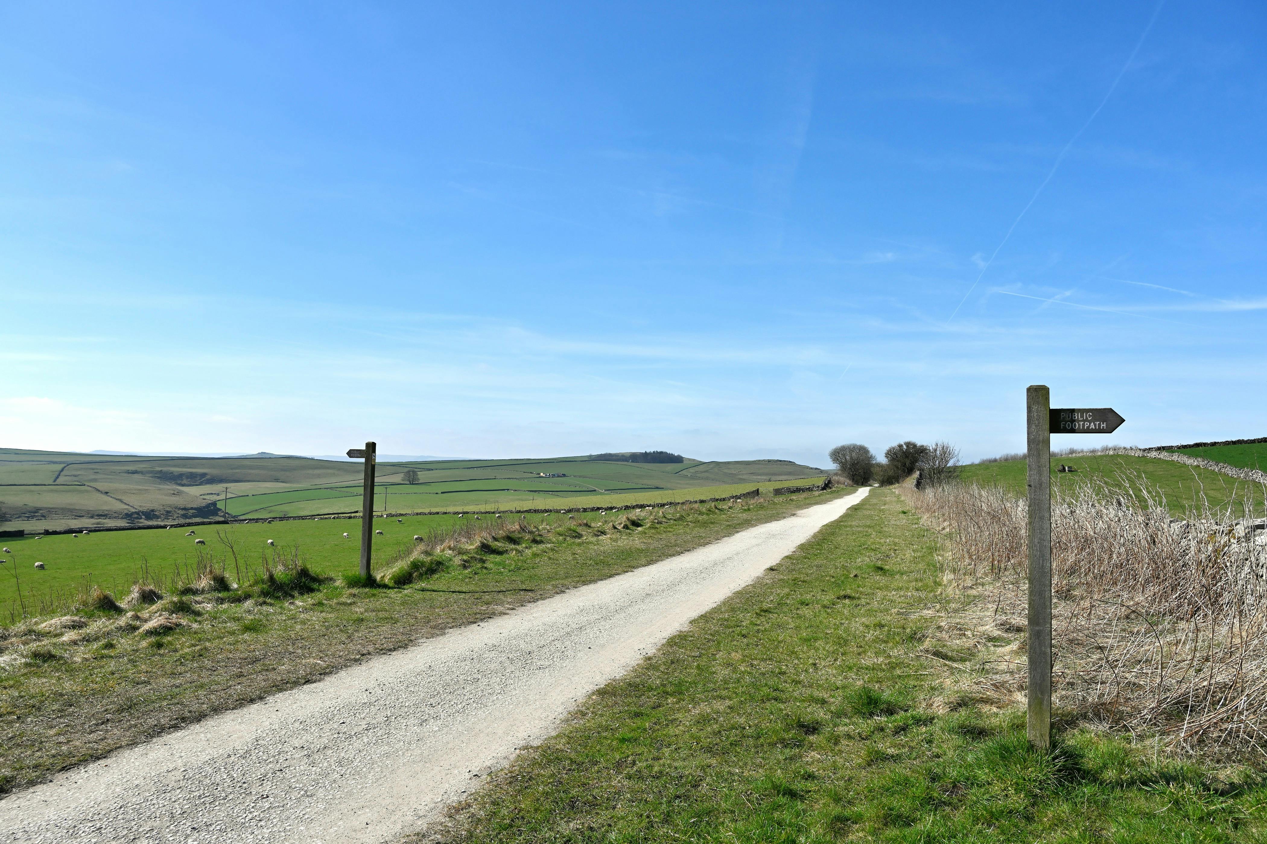Scenic Country Pathway in Lush Green Fields · Free Stock Photo