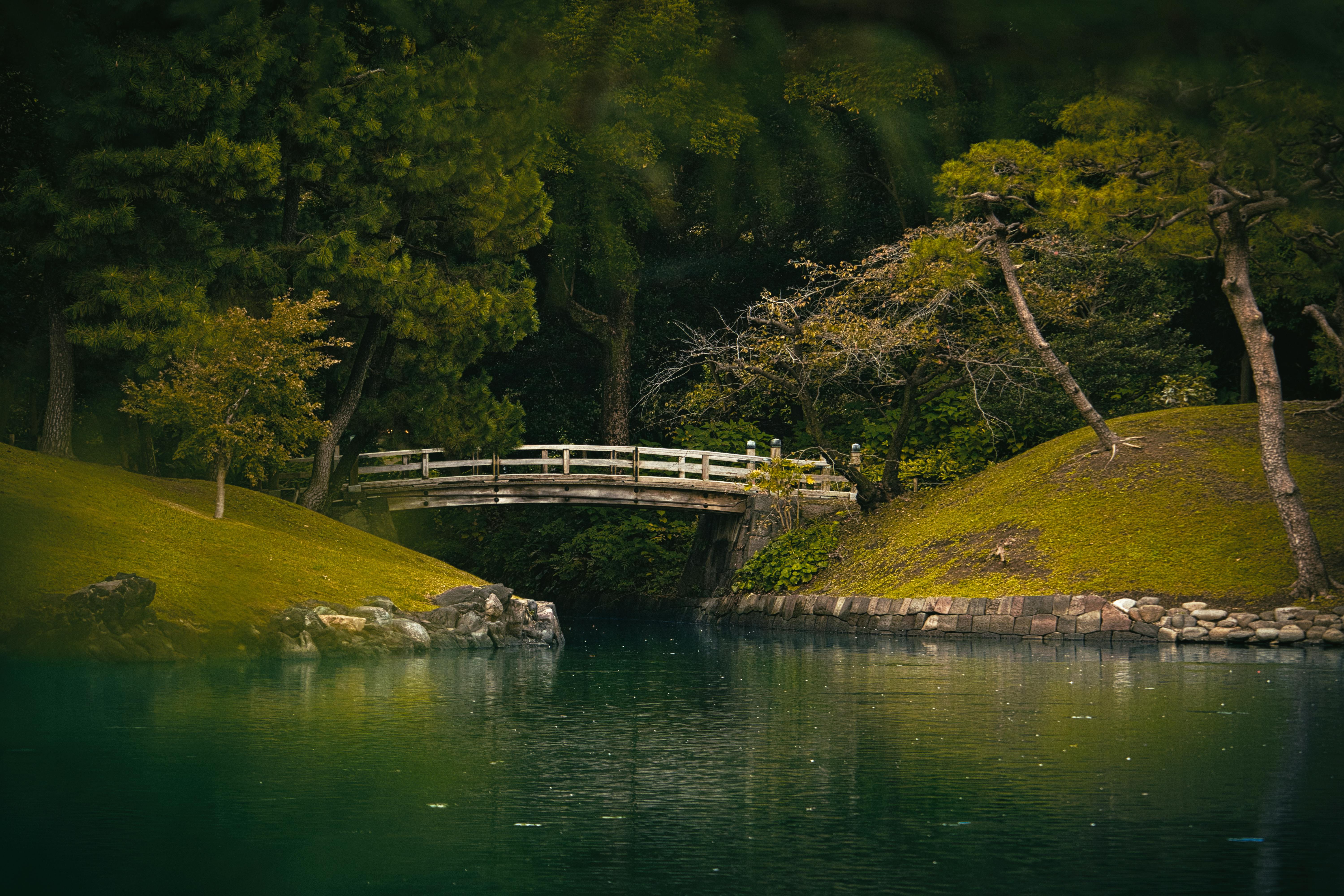 Tranquil Bridge Over Pond in Kenrokuen, Japan · Free Stock Photo