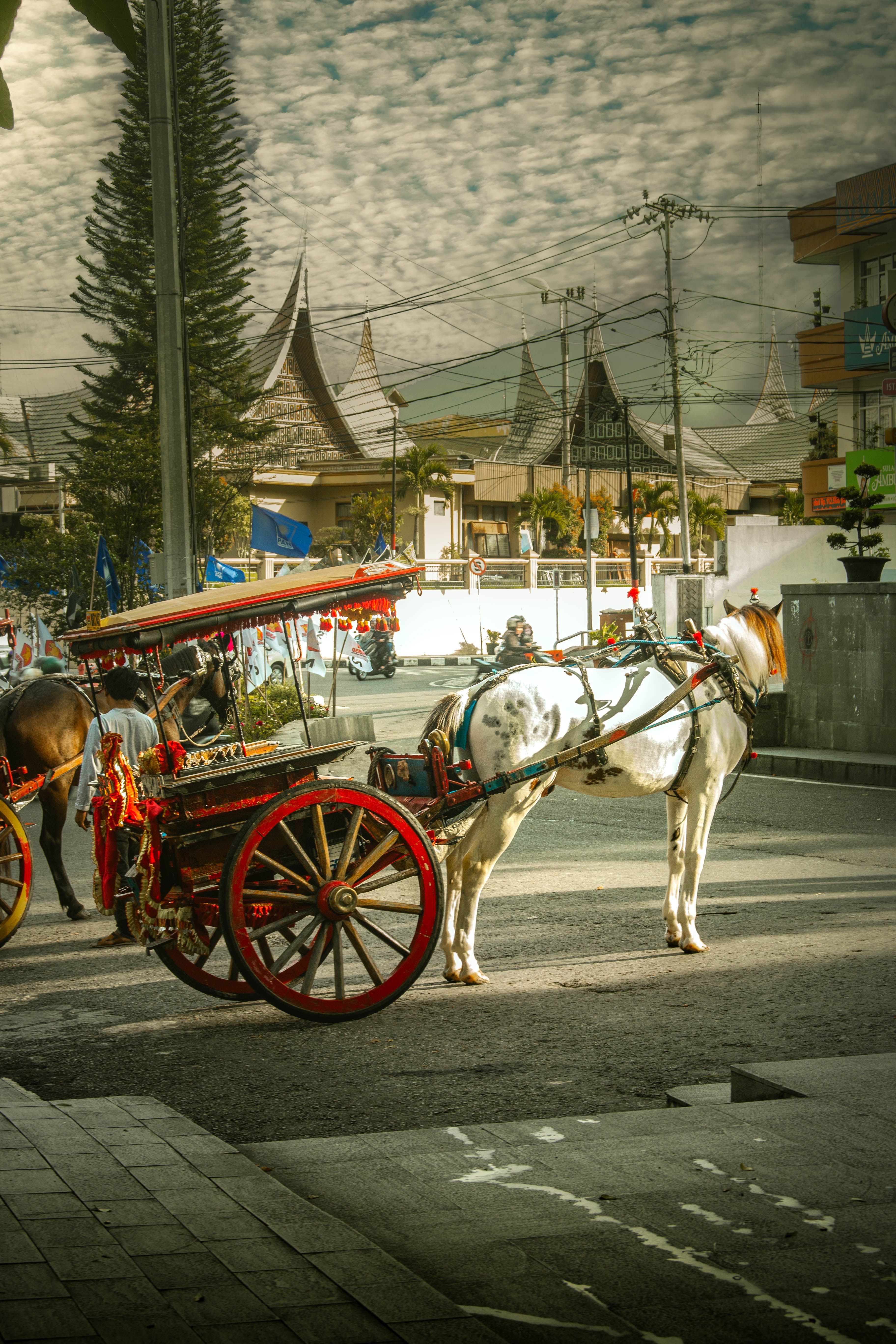 Monochrome Photo of Man in Carriage · Free Stock Photo