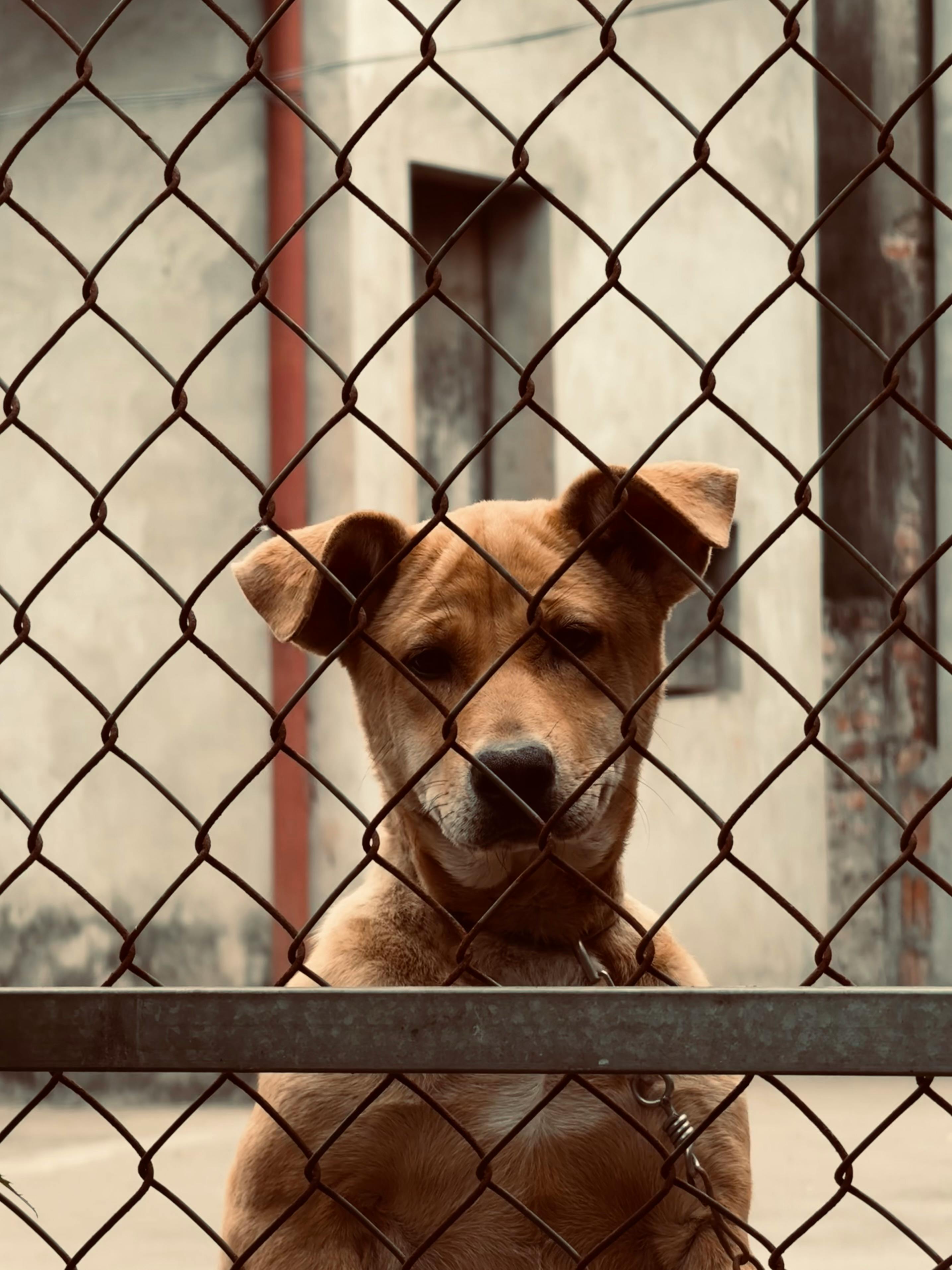 Gia Termopan Photos, Download The BEST Free Gia Termopan Stock Photos ...