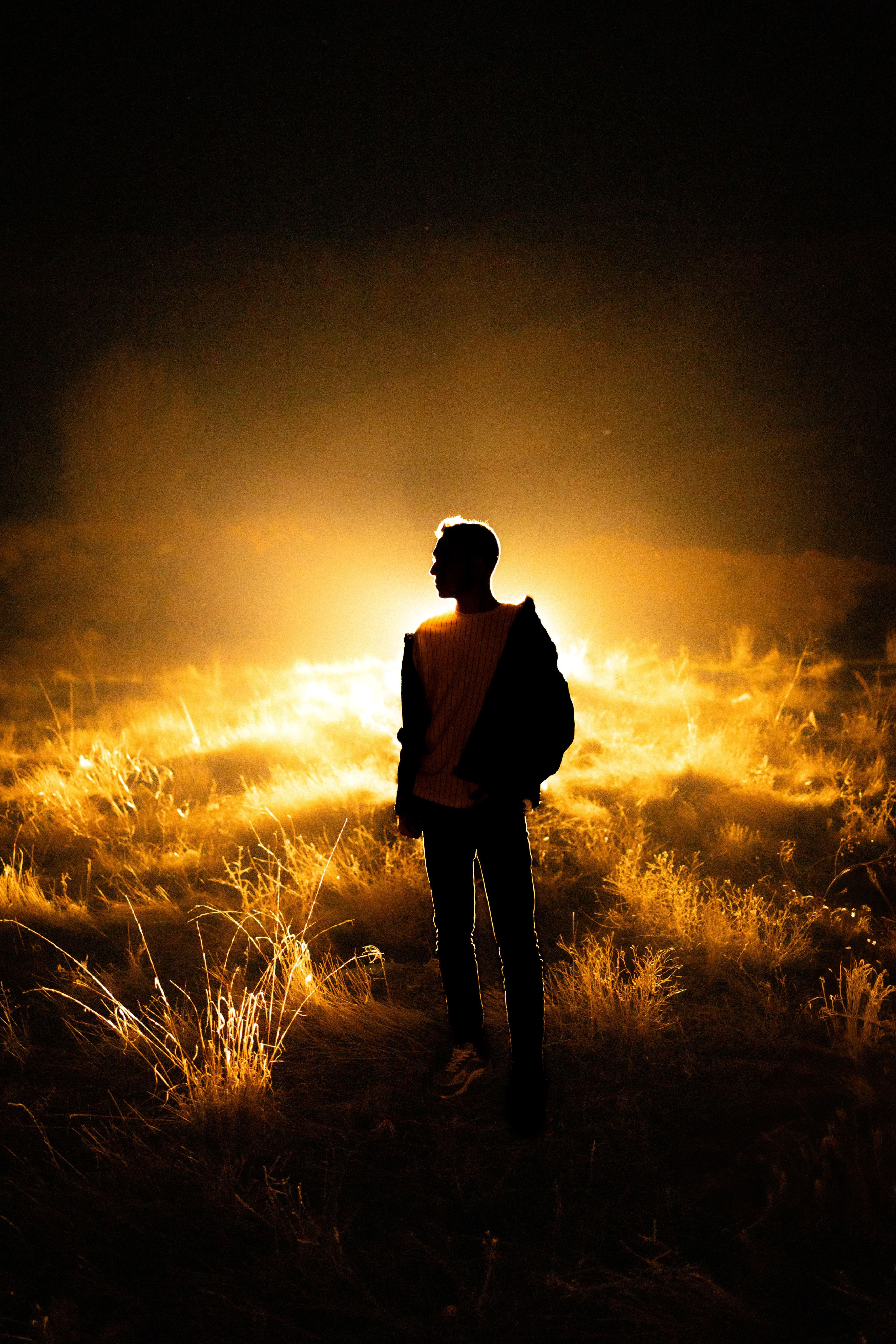 Silhouette of Person in Mystical Night Lighting · Free Stock Photo
