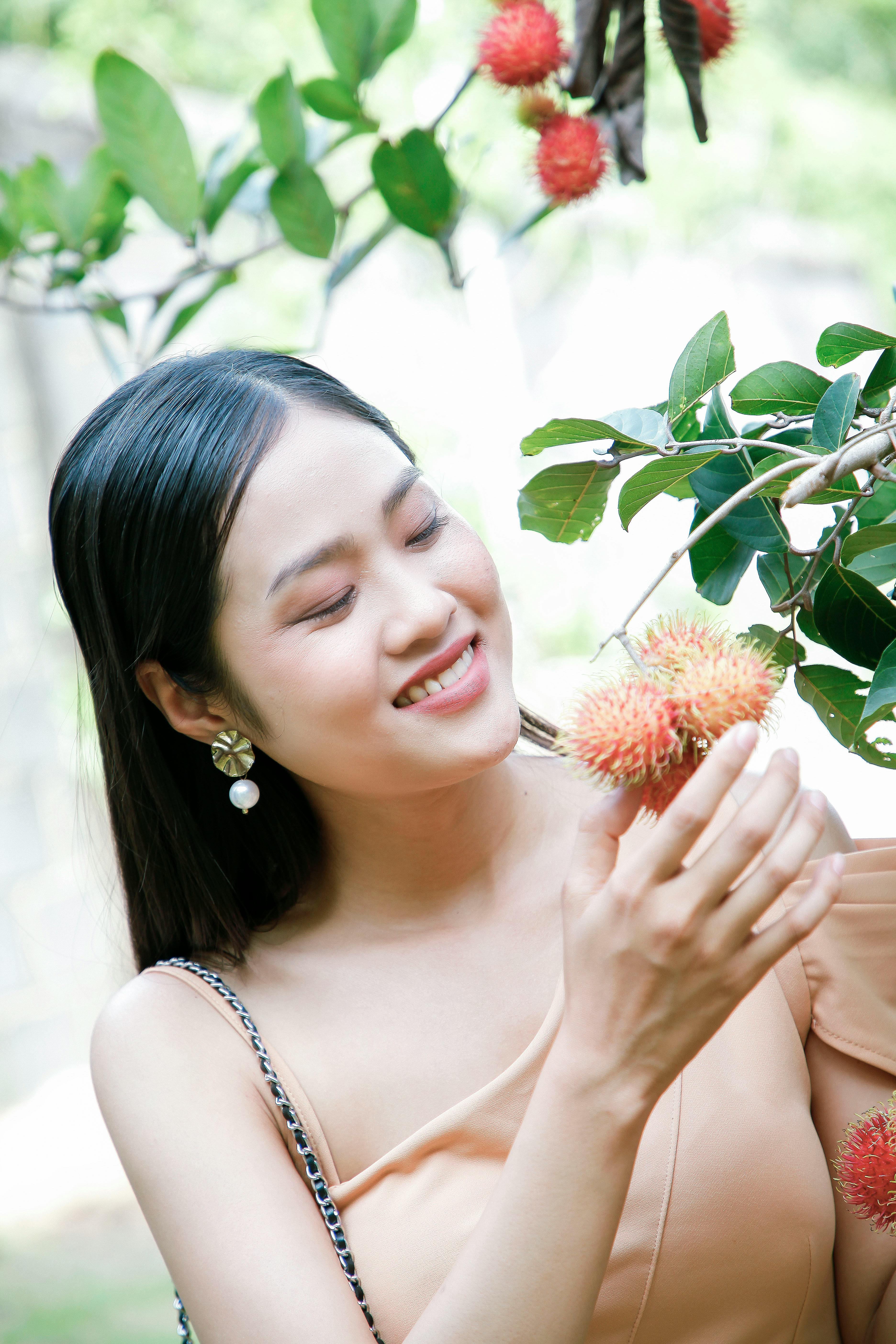 Rambutan Trees Photos, Download The BEST Free Rambutan Trees Stock ...