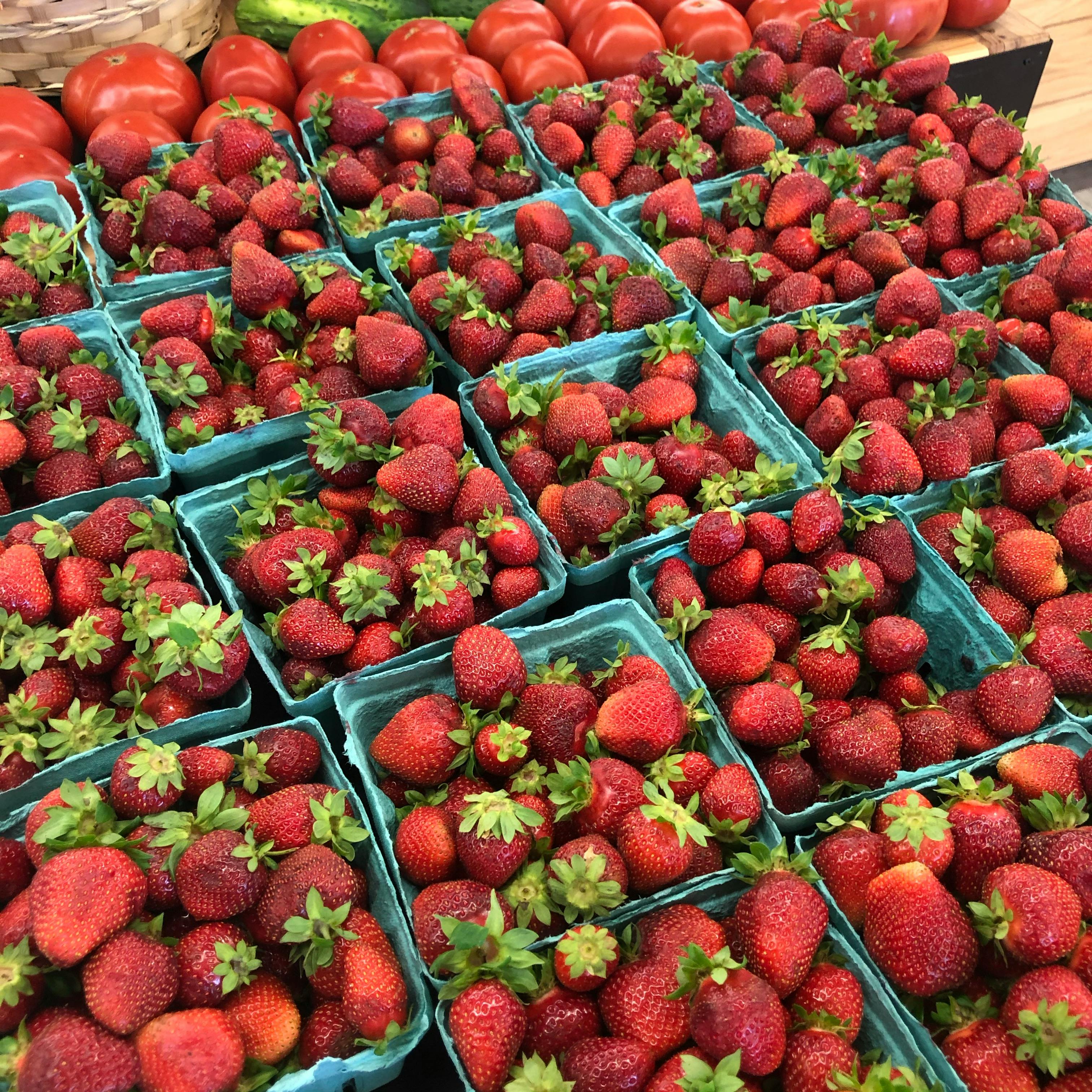 Fruit Farm Photos, Download The BEST Free Fruit Farm Stock Photos & HD ...