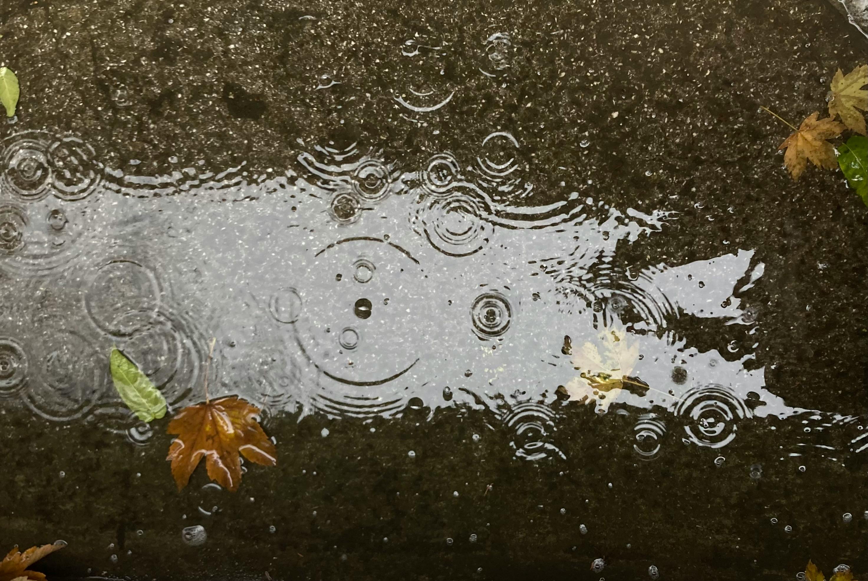 Boot Stepping in Autumn Rain Puddle Reflection · Free Stock Photo