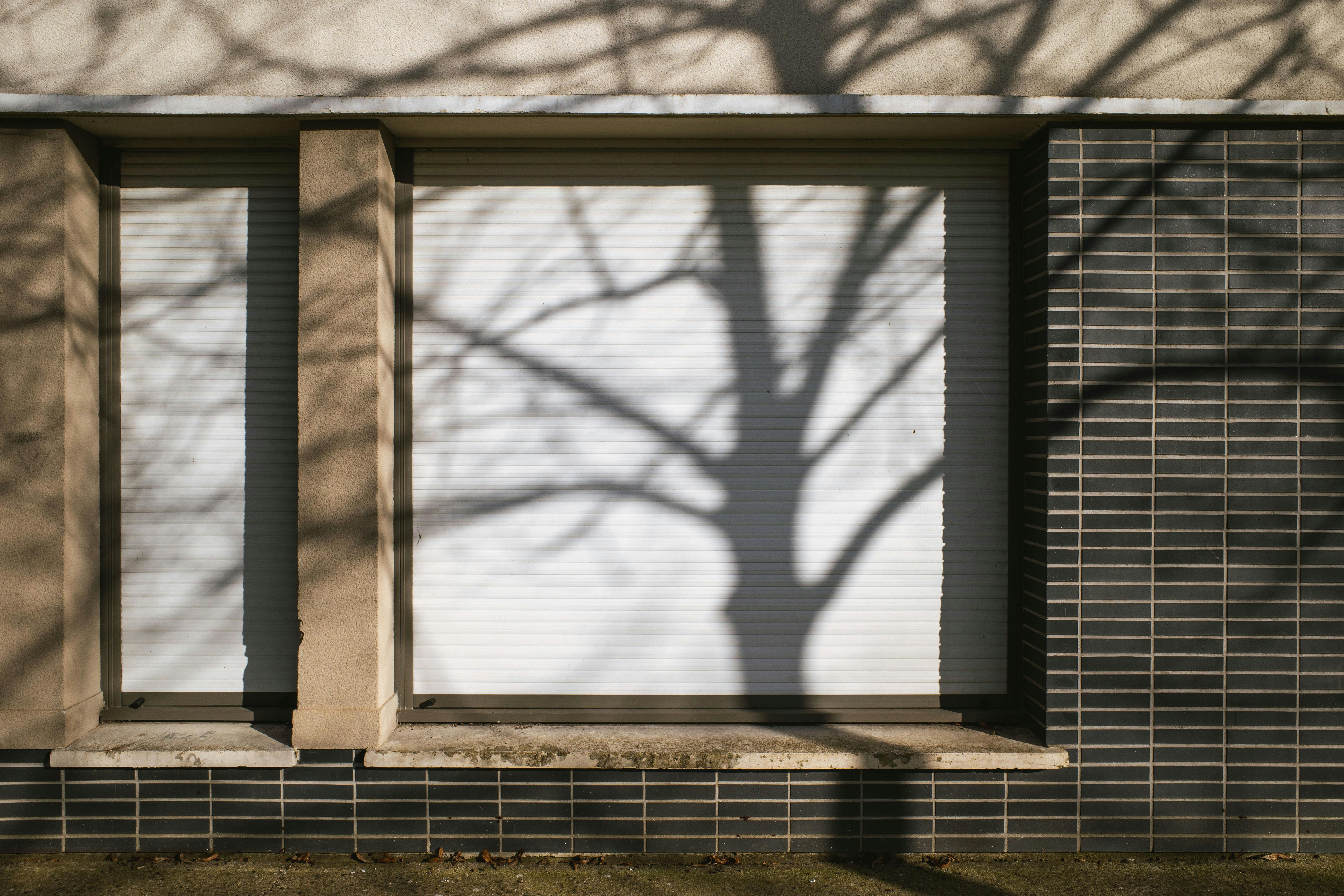 Shadow of Tree on Building Facade in Compiègne · Free Stock Photo