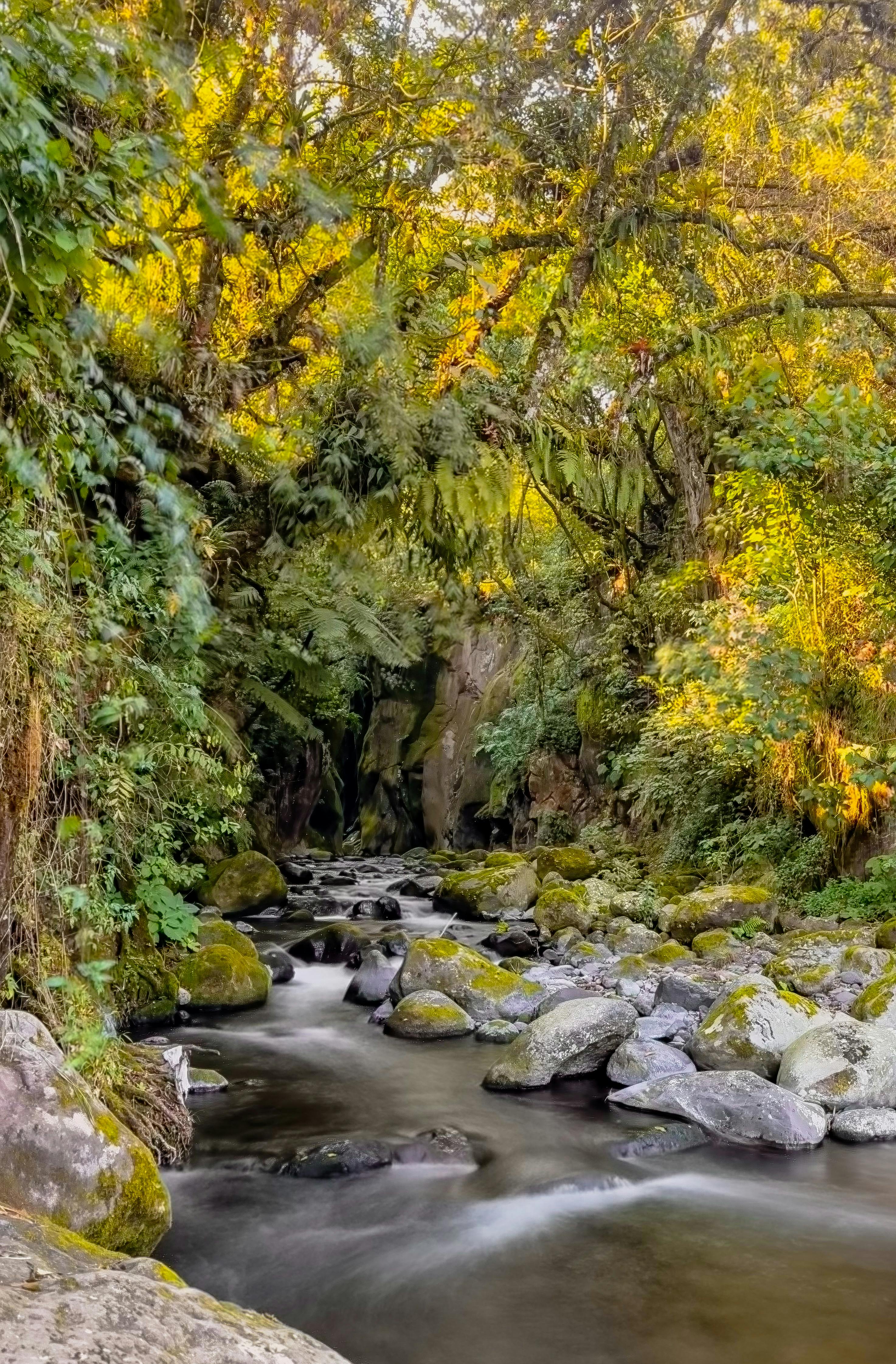 Streaming+Video+Bokep+Jepang+Lagi+Tidur Photos, Download The BEST Free Streaming+Video+Bokep ...