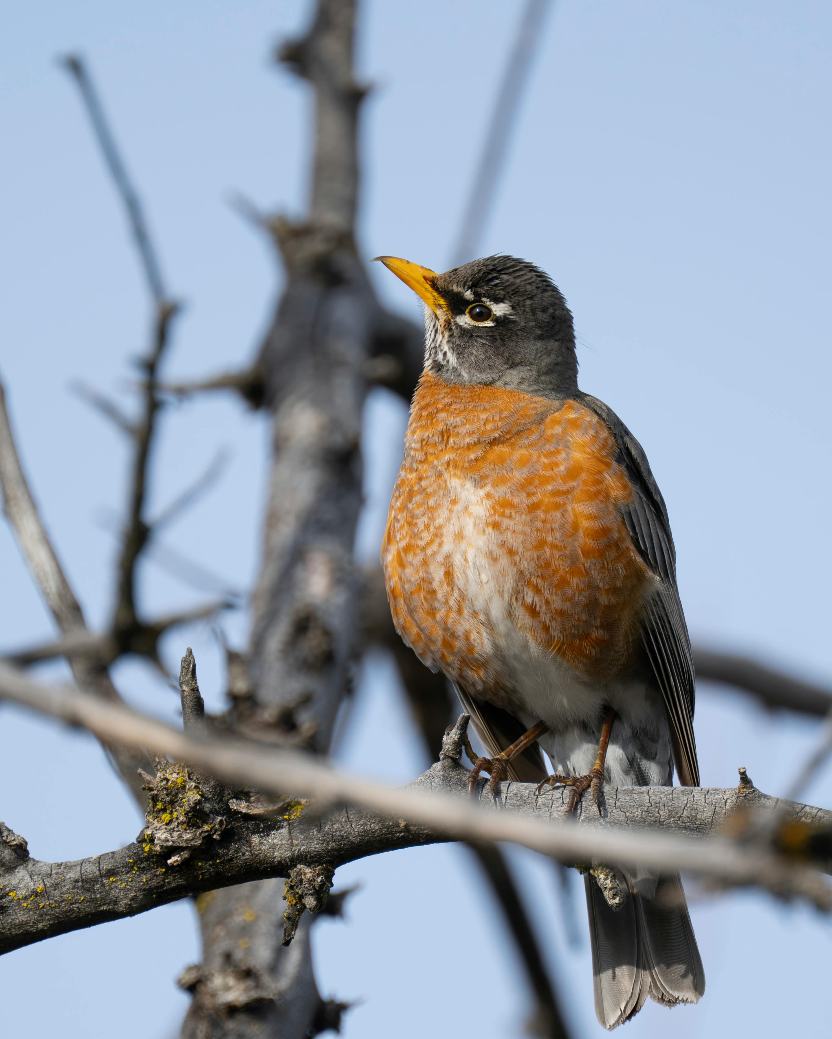 Frank Cone - Photography