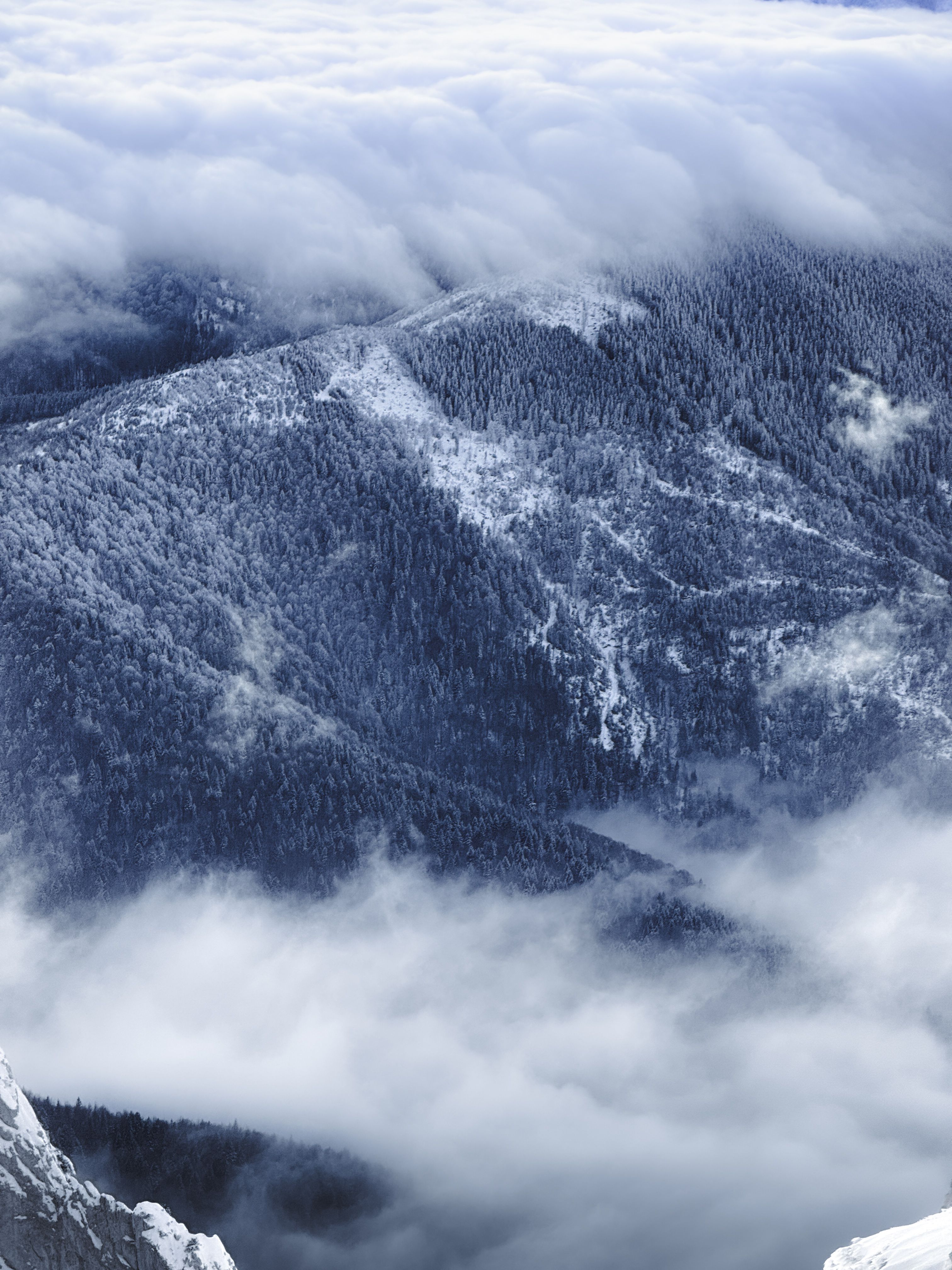 Misty Mountain Landscape with Snowy Forest · Free Stock Photo