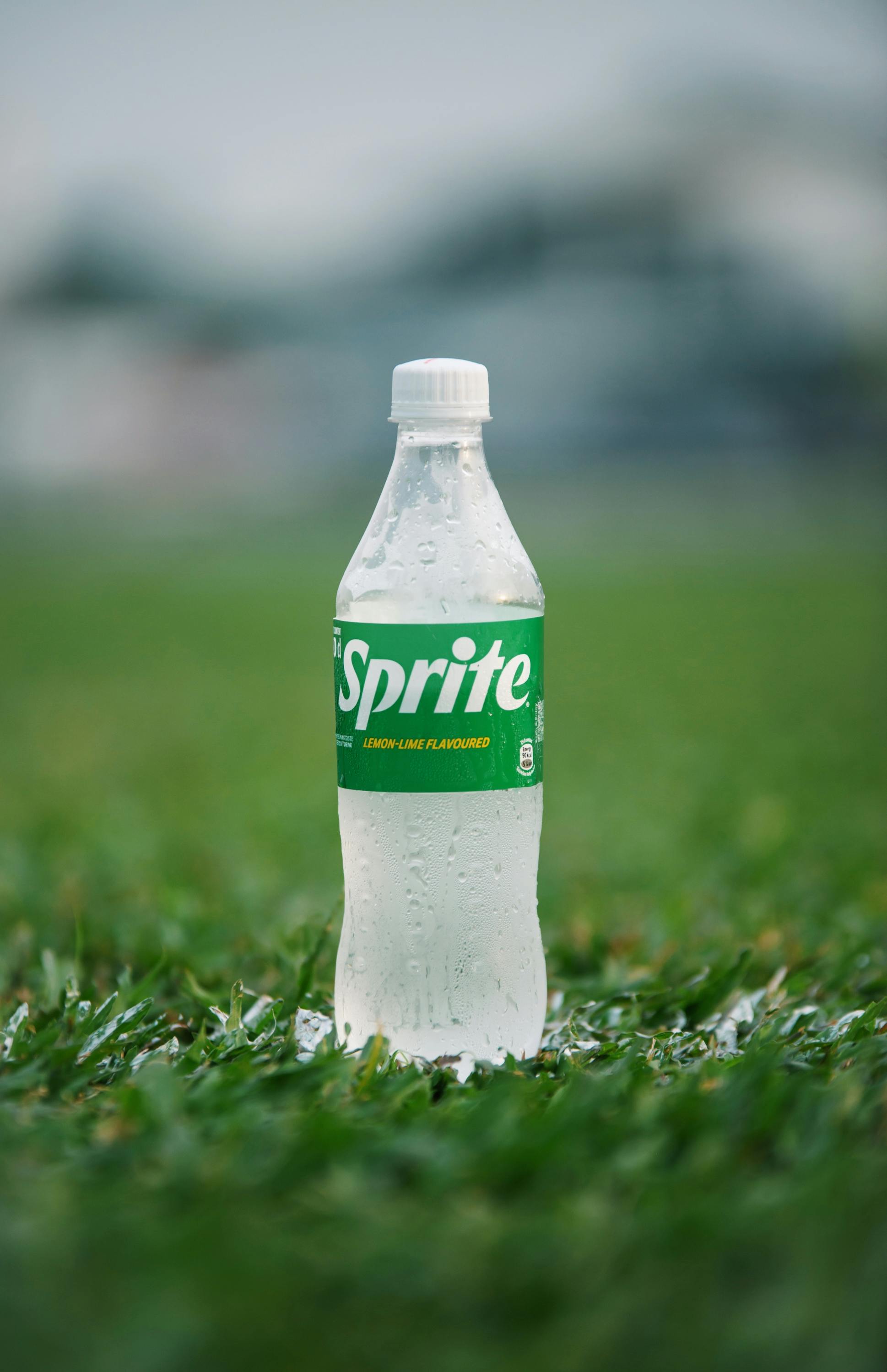 Cold Sprite Bottle on Grass Outdoors · Free Stock Photo