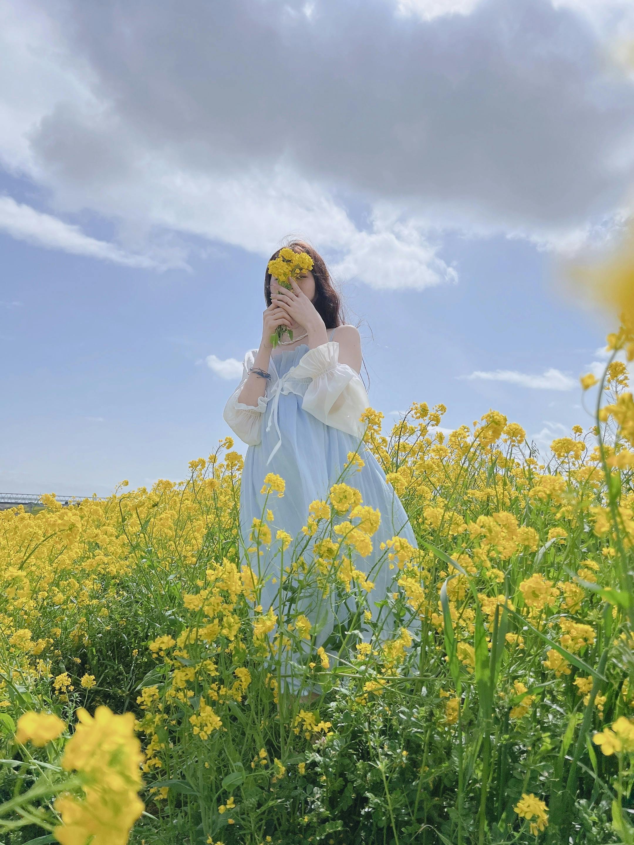 Blue Colorful Photos, Download The BEST Free Blue Colorful Stock Photos ...