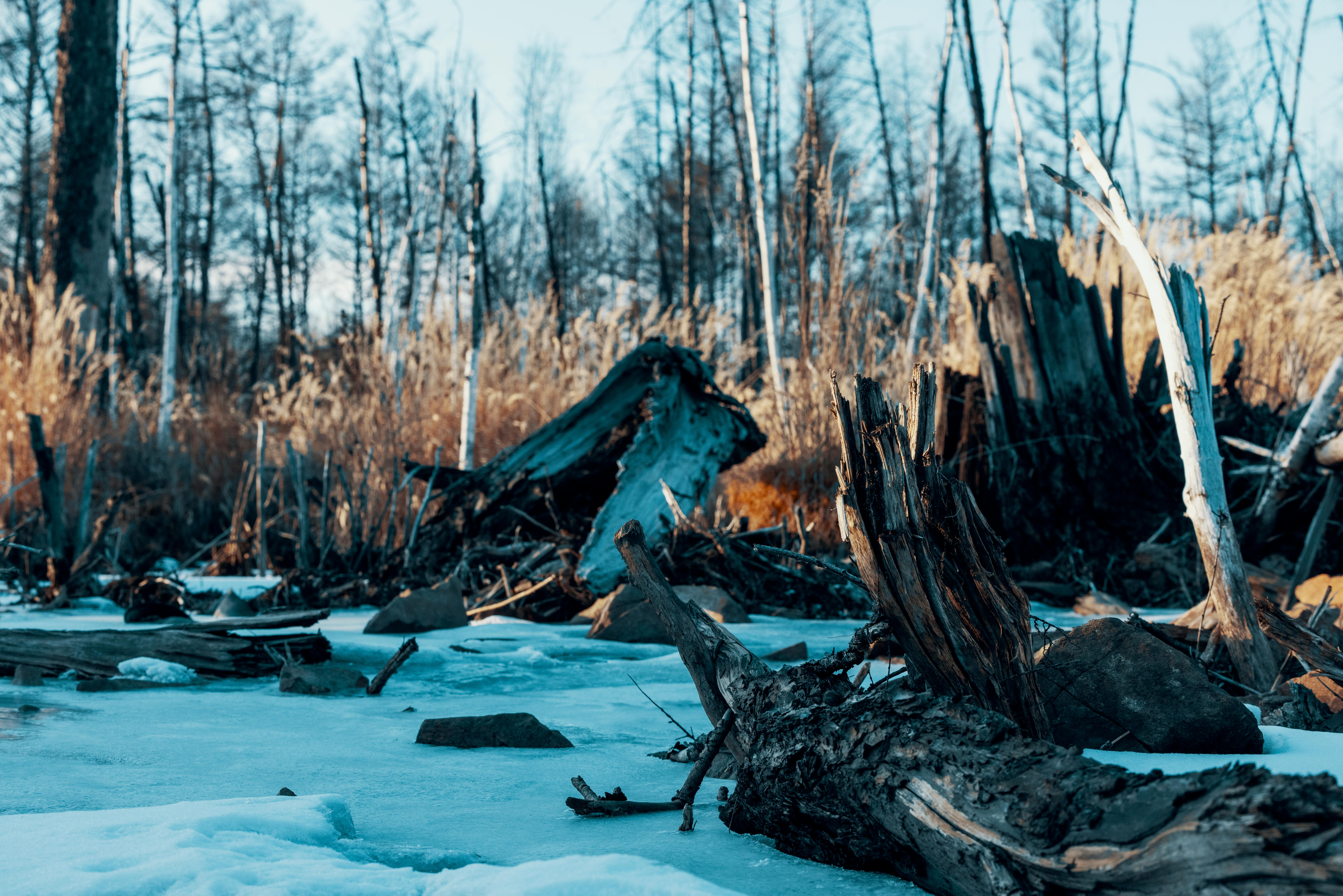 Hypnotise+Rough+Motherless Photos, Download The BEST Free Hypnotise ...