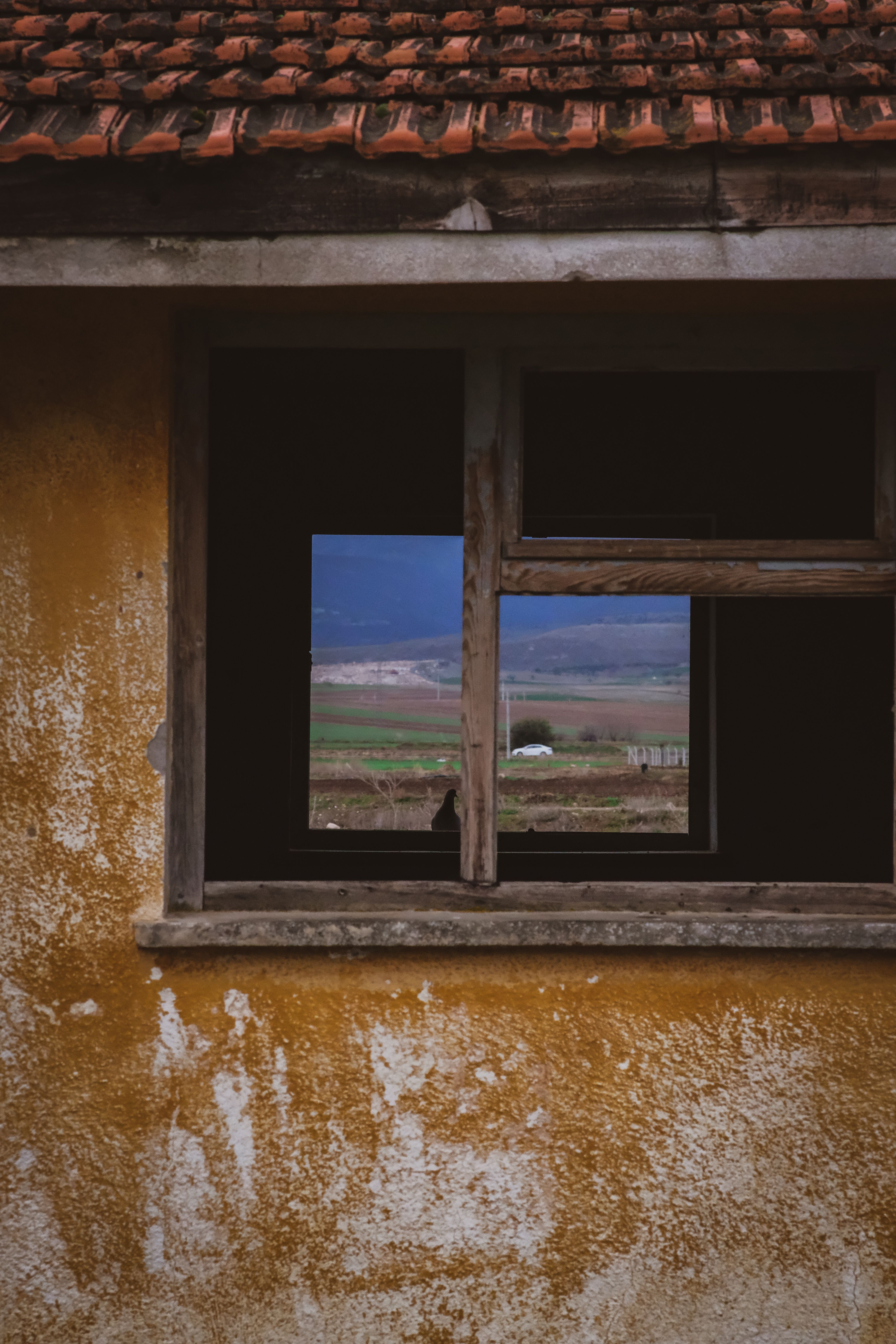 Pane Billeder Photos, Download The BEST Free Pane Billeder Stock Photos ...