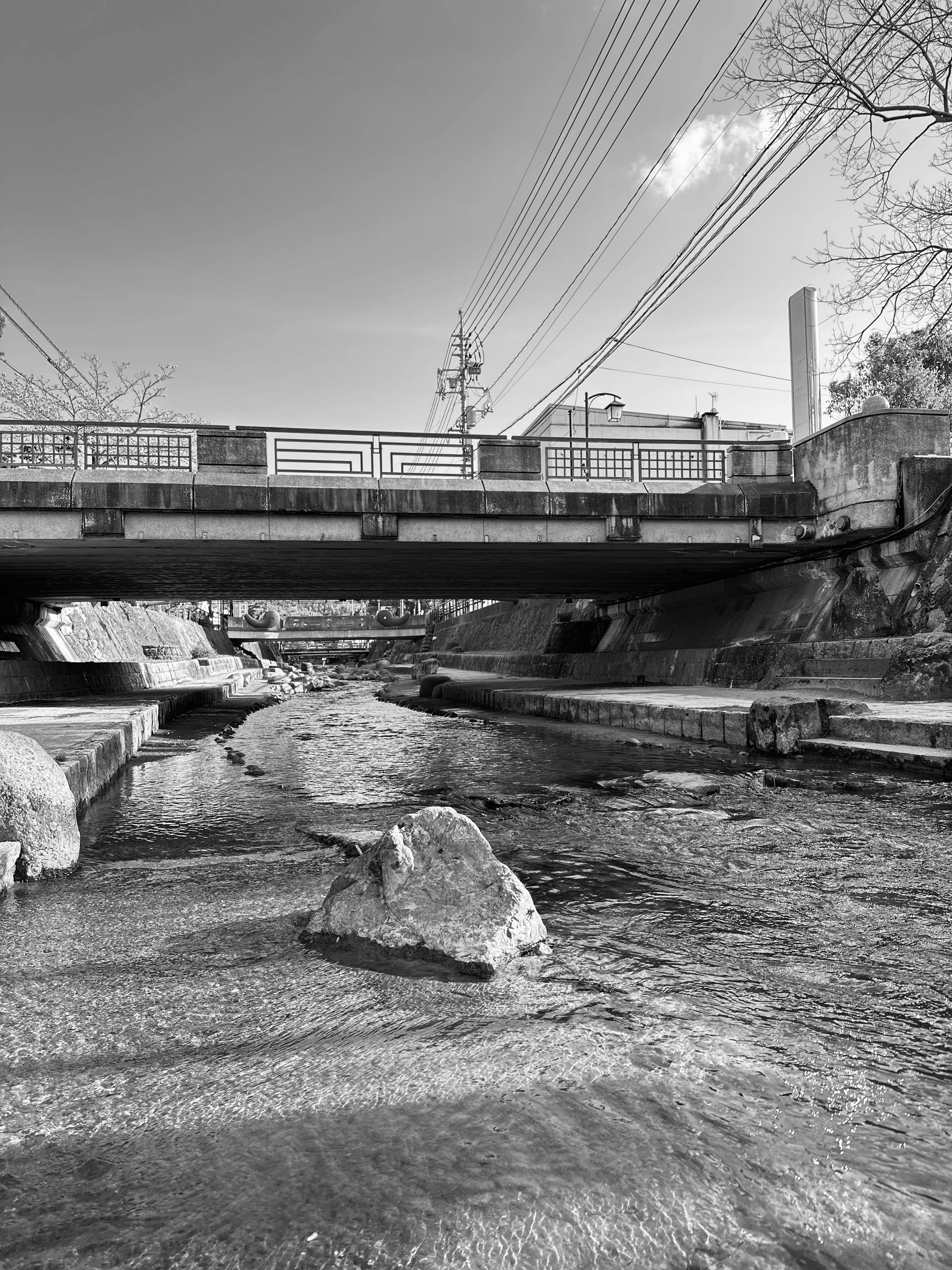 Raiders Wire Photos, Download The BEST Free Raiders Wire Stock Photos ...