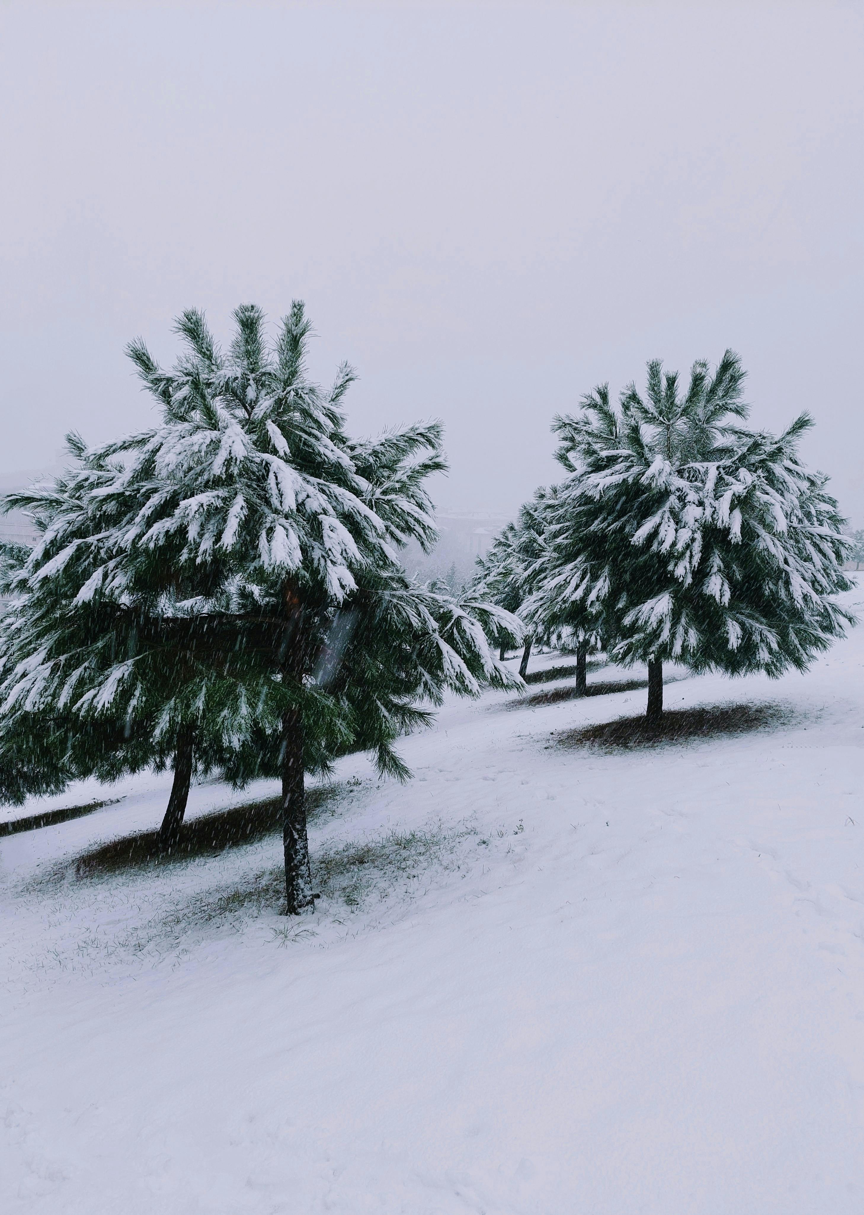 William Cho 13 February 2017 Photos, Download The BEST Free William Cho ...