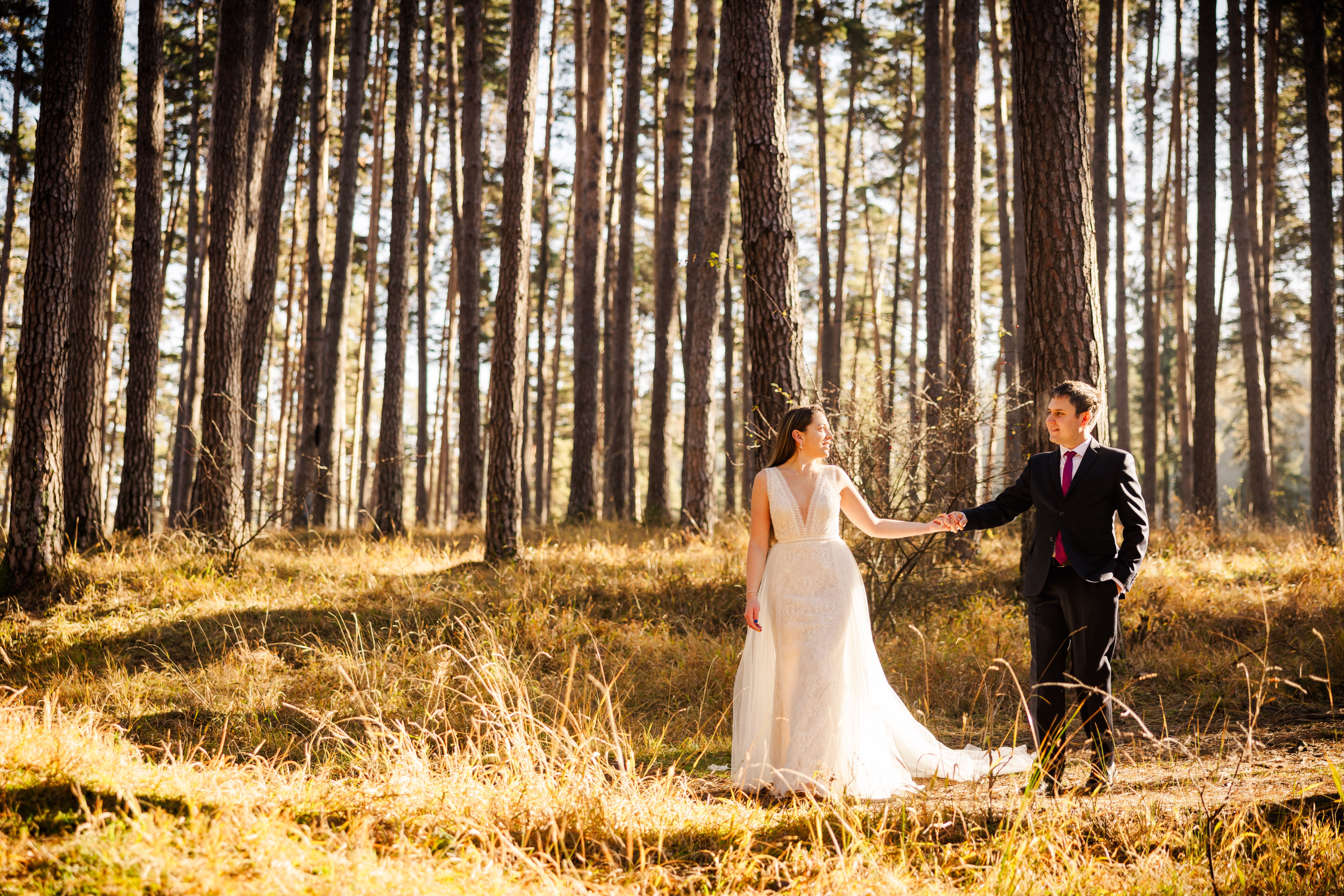 Romantic Forest Wedding Couple Embracing Nature · Free Stock Photo