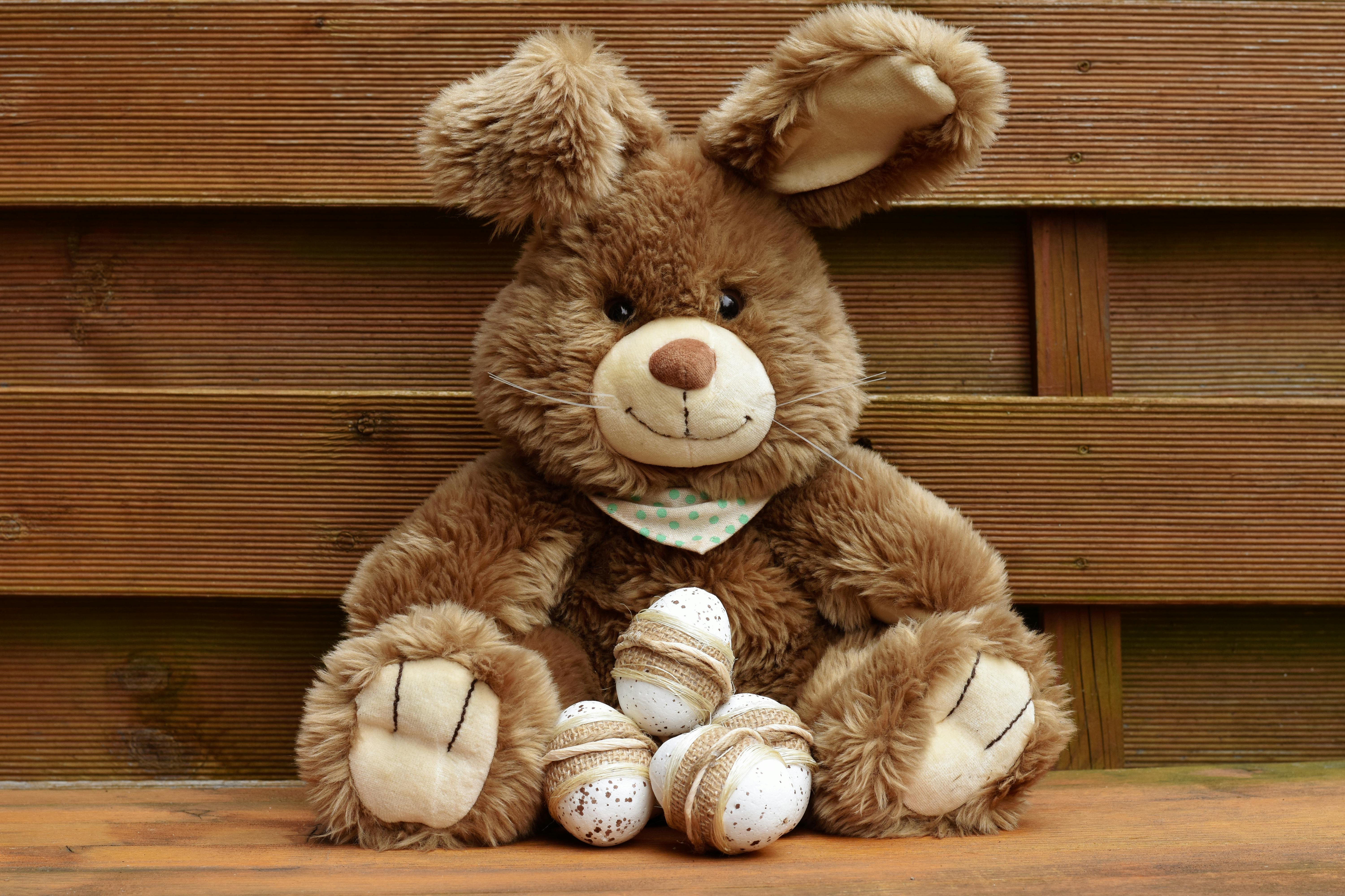 Iepuraș Adorabil De Pluș Cu Ouă De Paște Decorate · Imagine de stoc ...