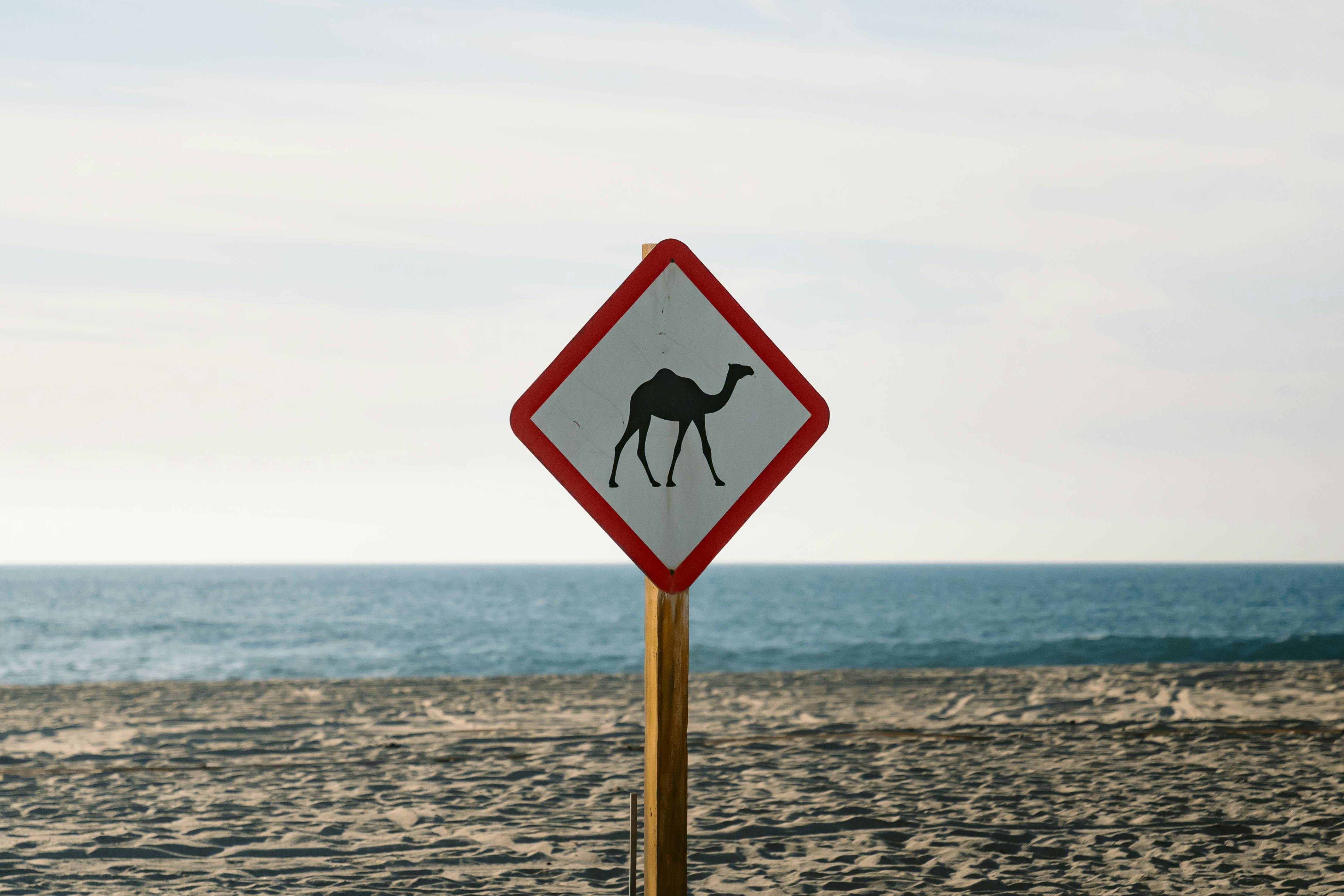 Exotic Animal Sign Photos, Download The BEST Free Exotic Animal Sign ...