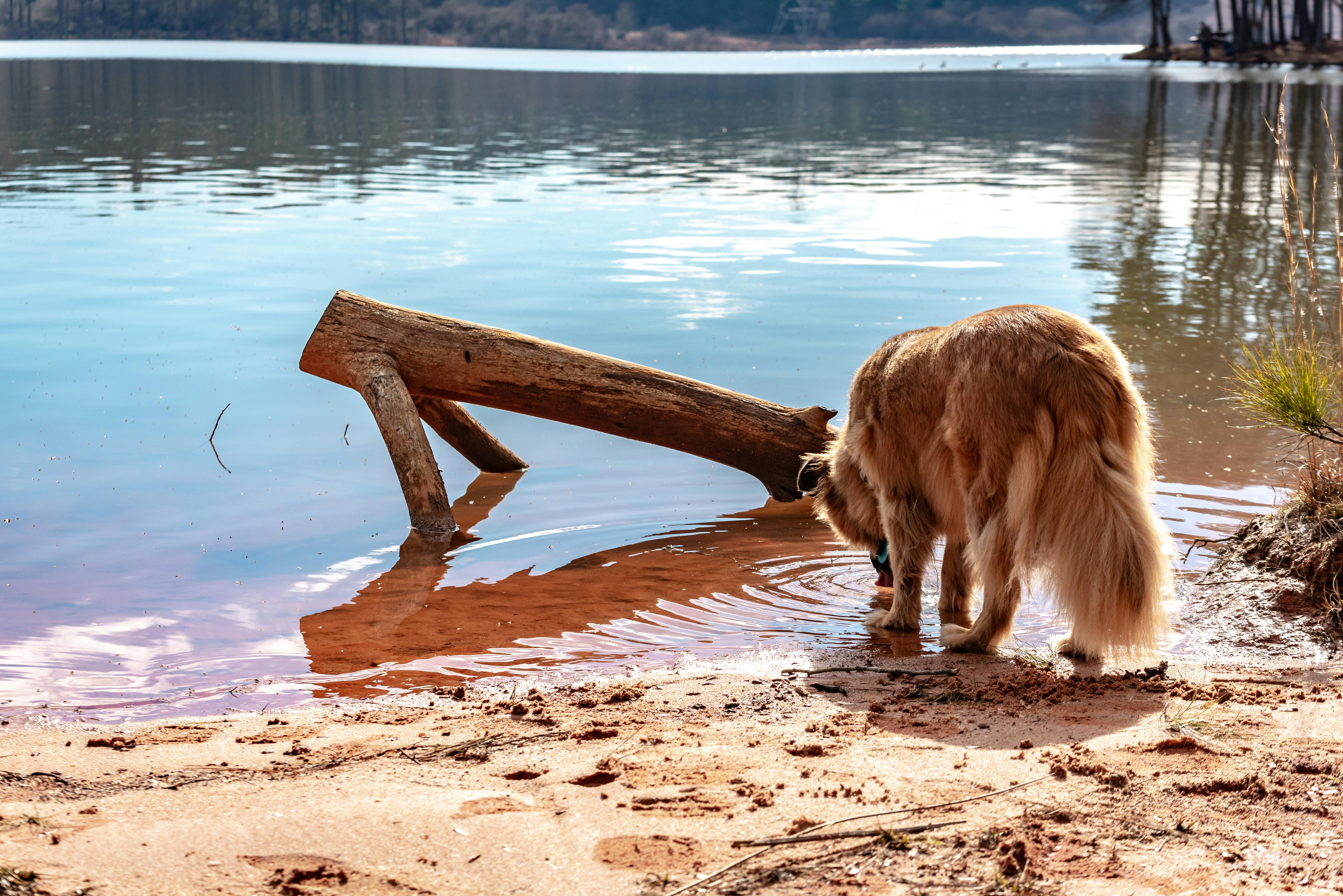 Usa Waterfront Photos, Download The BEST Free Usa Waterfront Stock ...