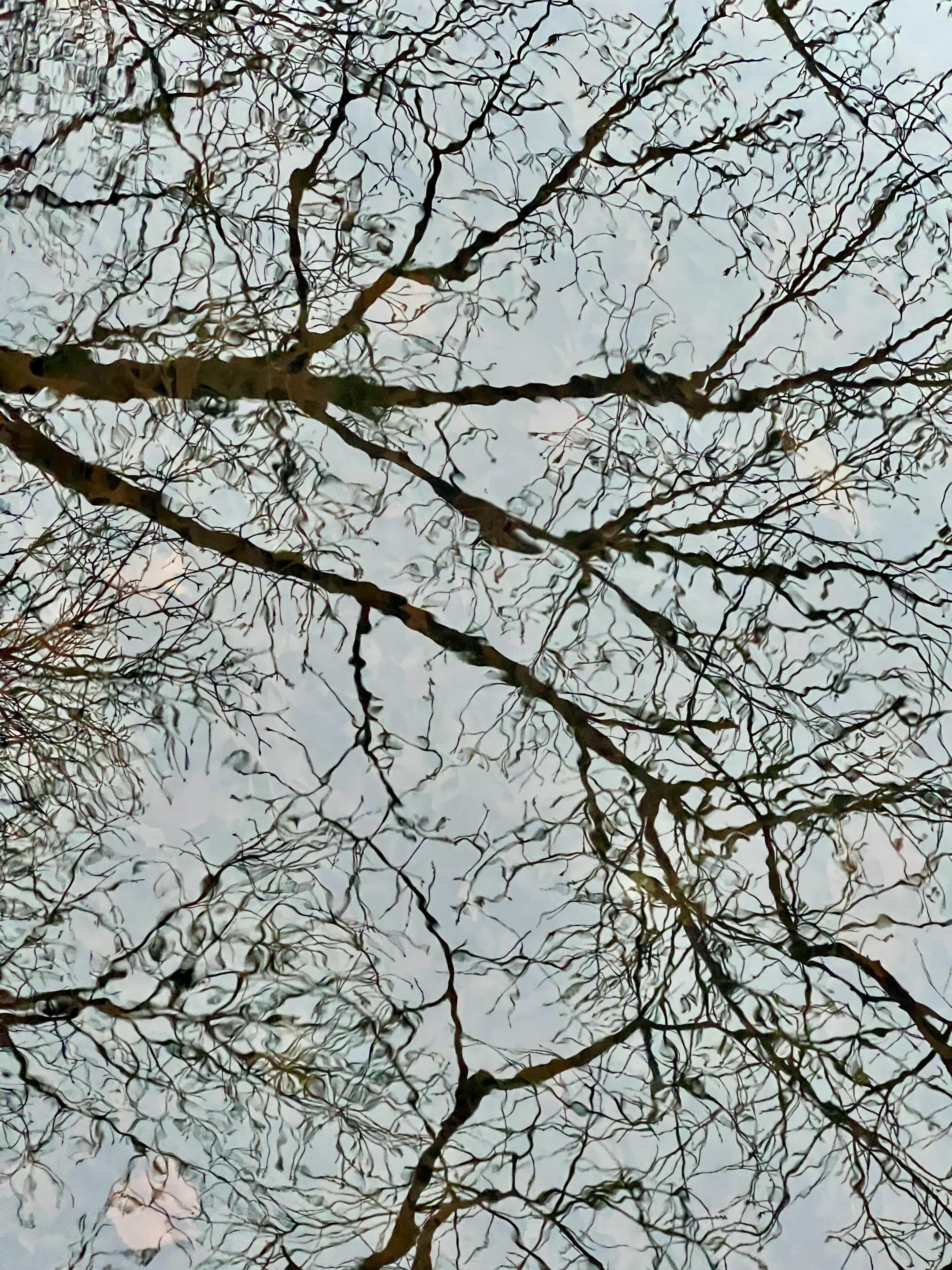 Form Bot Photos, Download The BEST Free Form Bot Stock Photos & HD Images